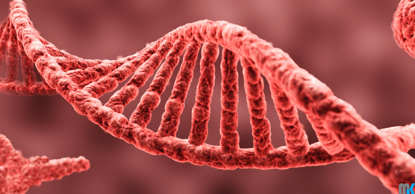 Stem Cell Wallpapers - Wallpaper Cave