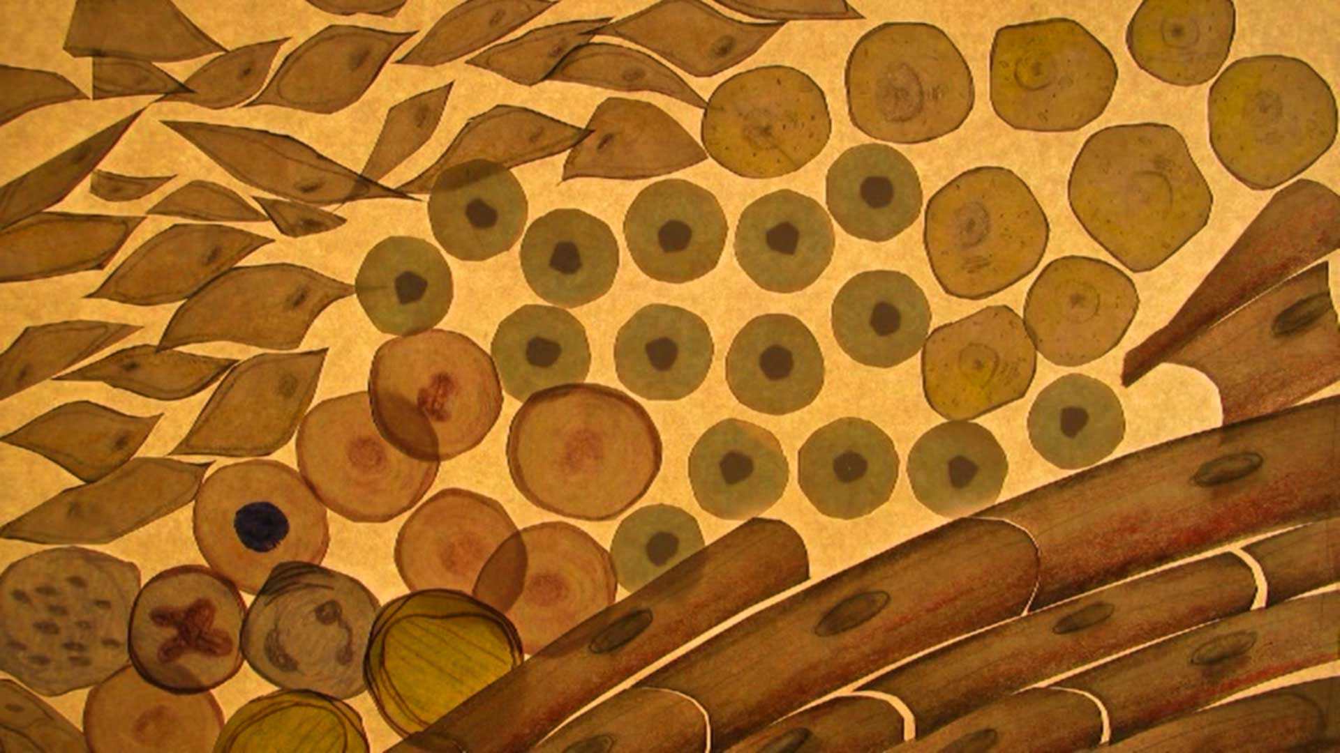 Stem Cell Wallpapers - Wallpaper Cave