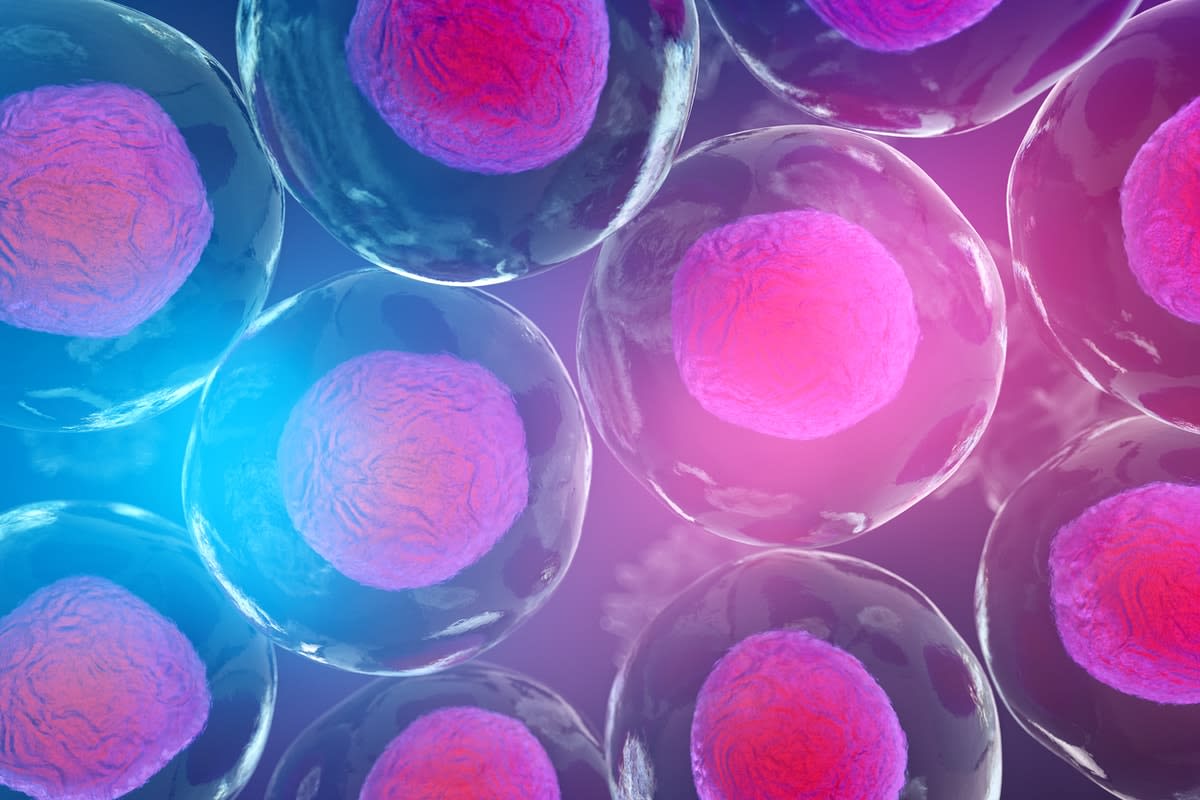 Stem Cell Wallpapers - Wallpaper Cave