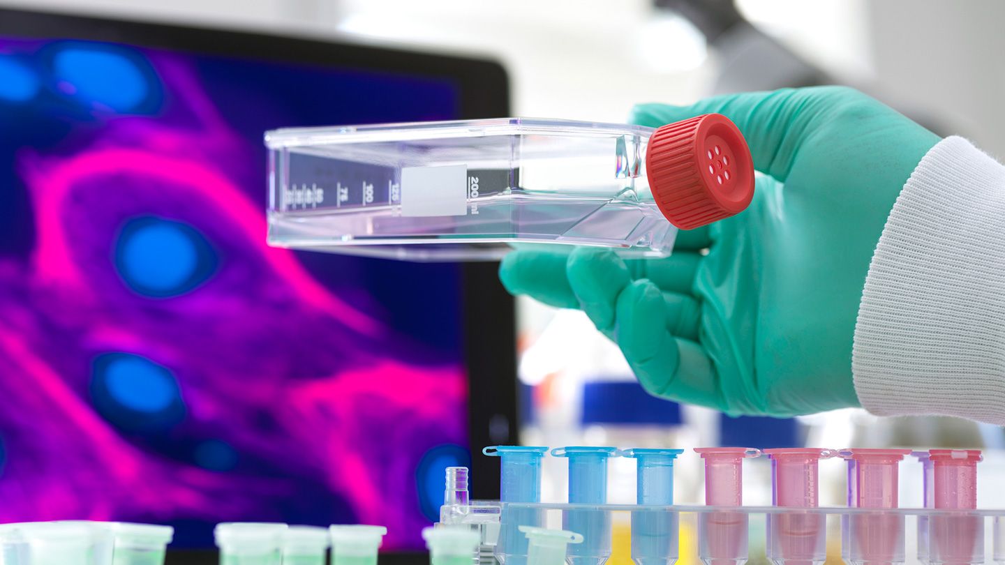 Stem Cell Wallpapers - Wallpaper Cave