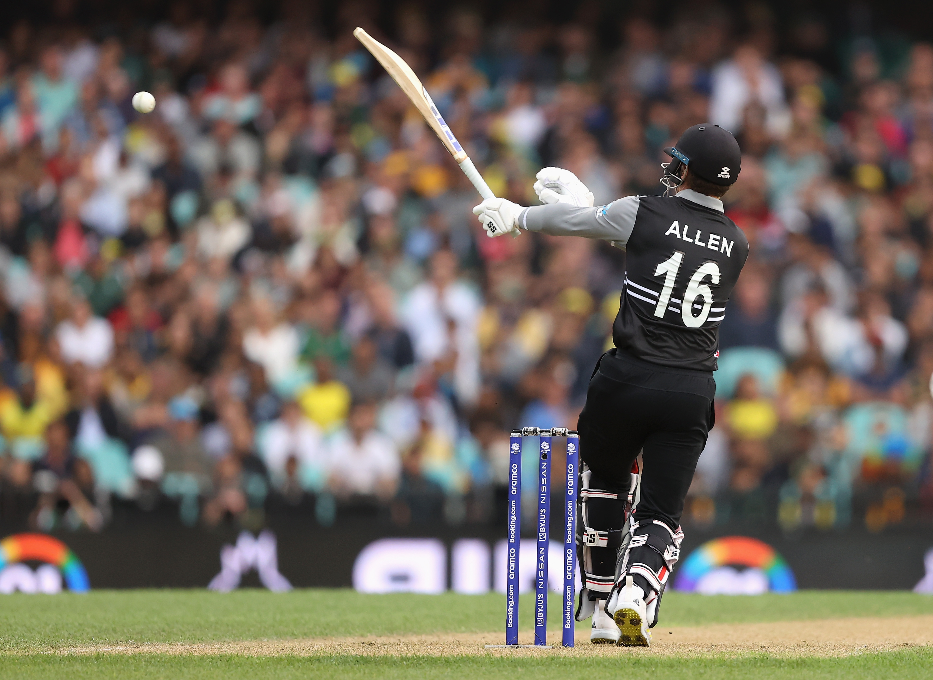 Finn Allen Wallpapers - Wallpaper Cave