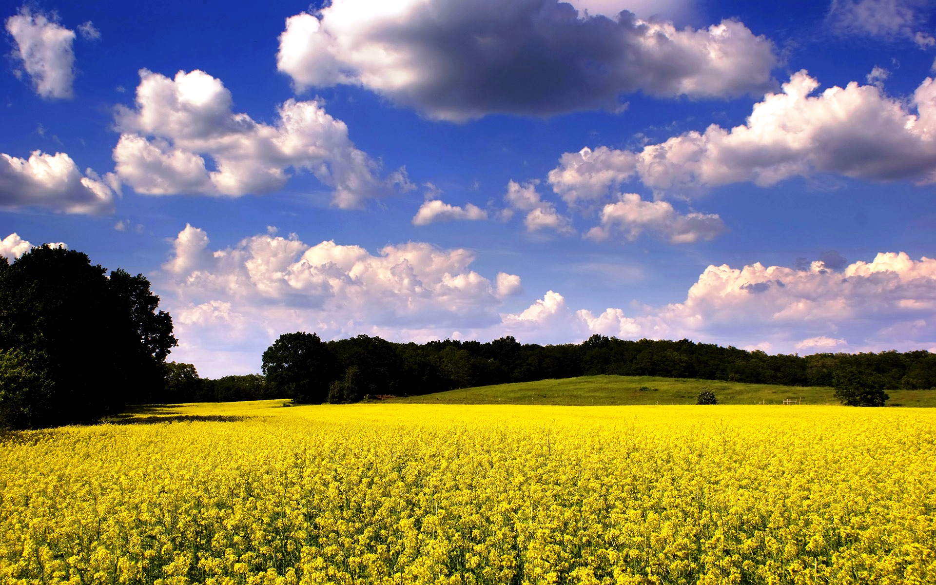 Spring Time Field Wallpapers - Wallpaper Cave