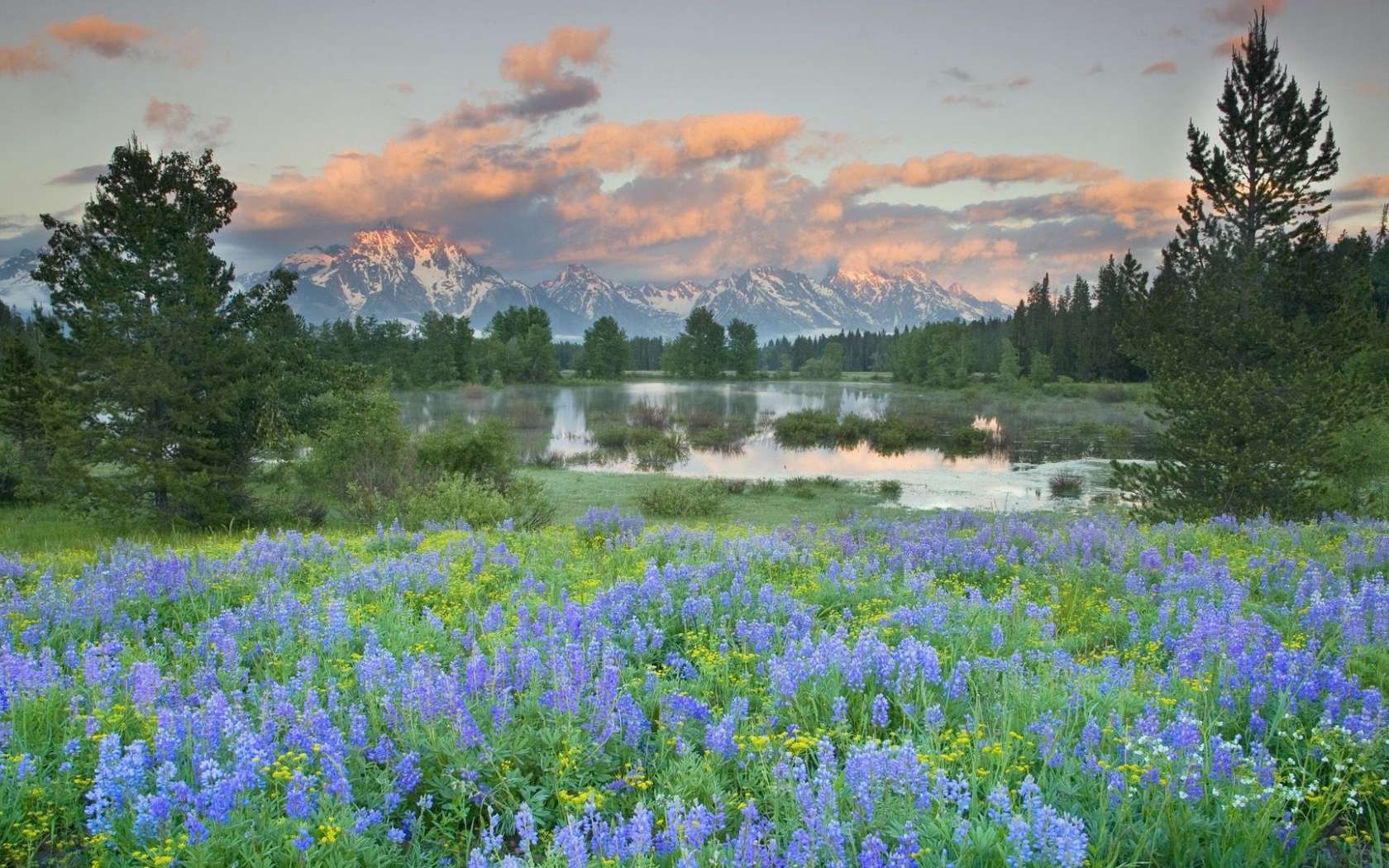 Spring Time Field Wallpapers - Wallpaper Cave