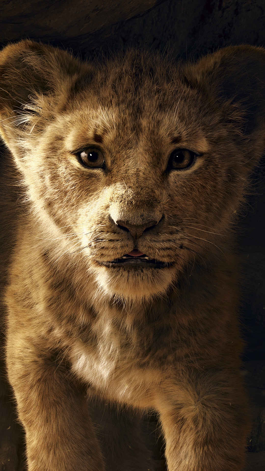 Lion King iPhone Wallpapers - Wallpaper Cave