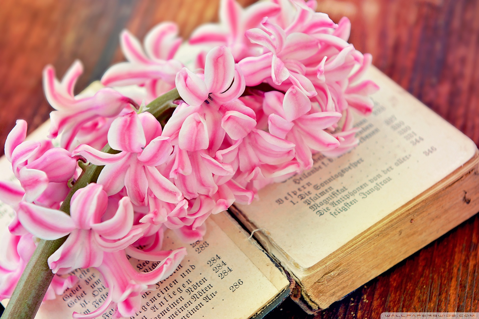 Spring And Books Wallpapers - Wallpaper Cave