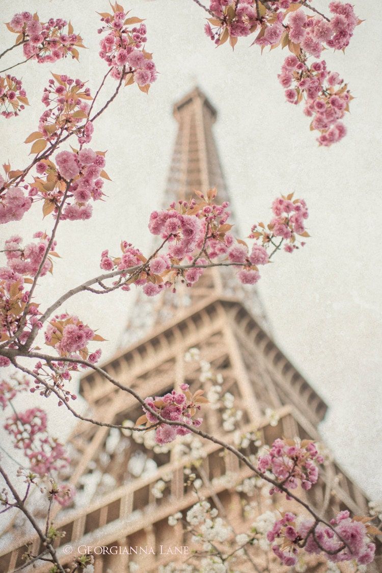 Spring Paris Phone Wallpapers - Wallpaper Cave