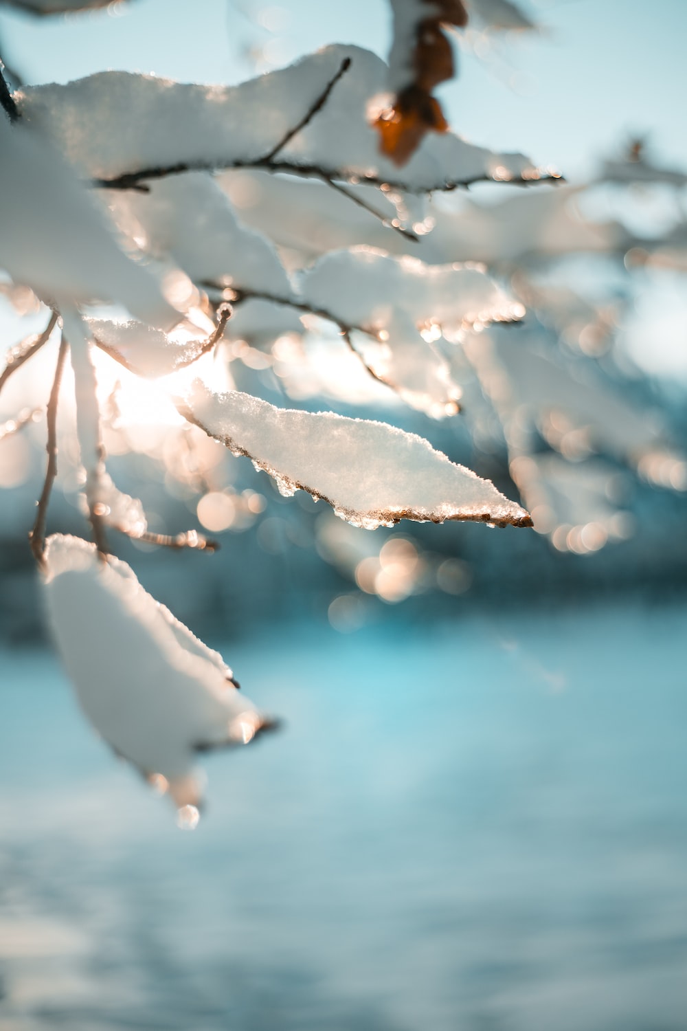 Winter Snow Lights Wallpapers - Wallpaper Cave