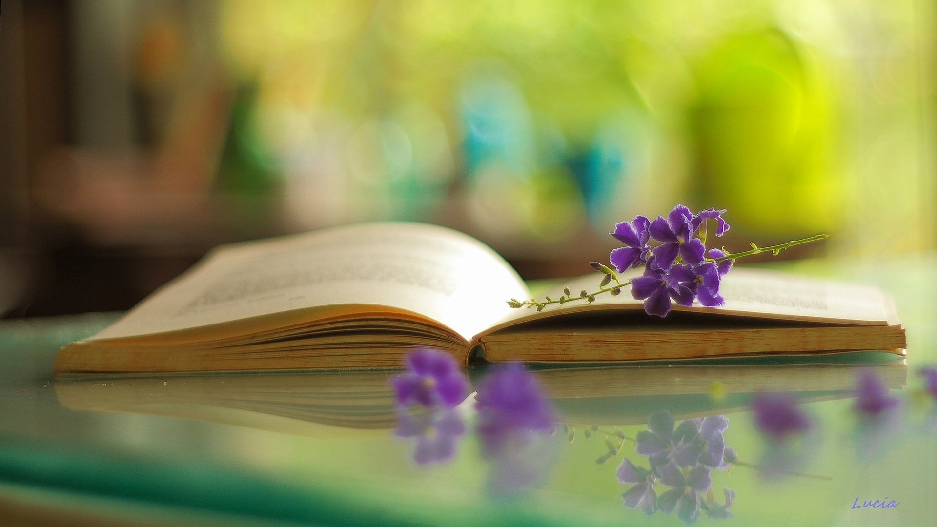 Spring And Books Wallpapers - Wallpaper Cave