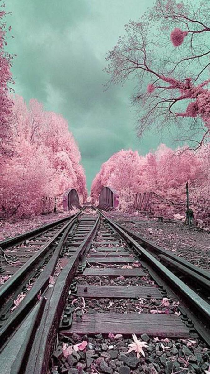Train Spring Wallpapers - Wallpaper Cave