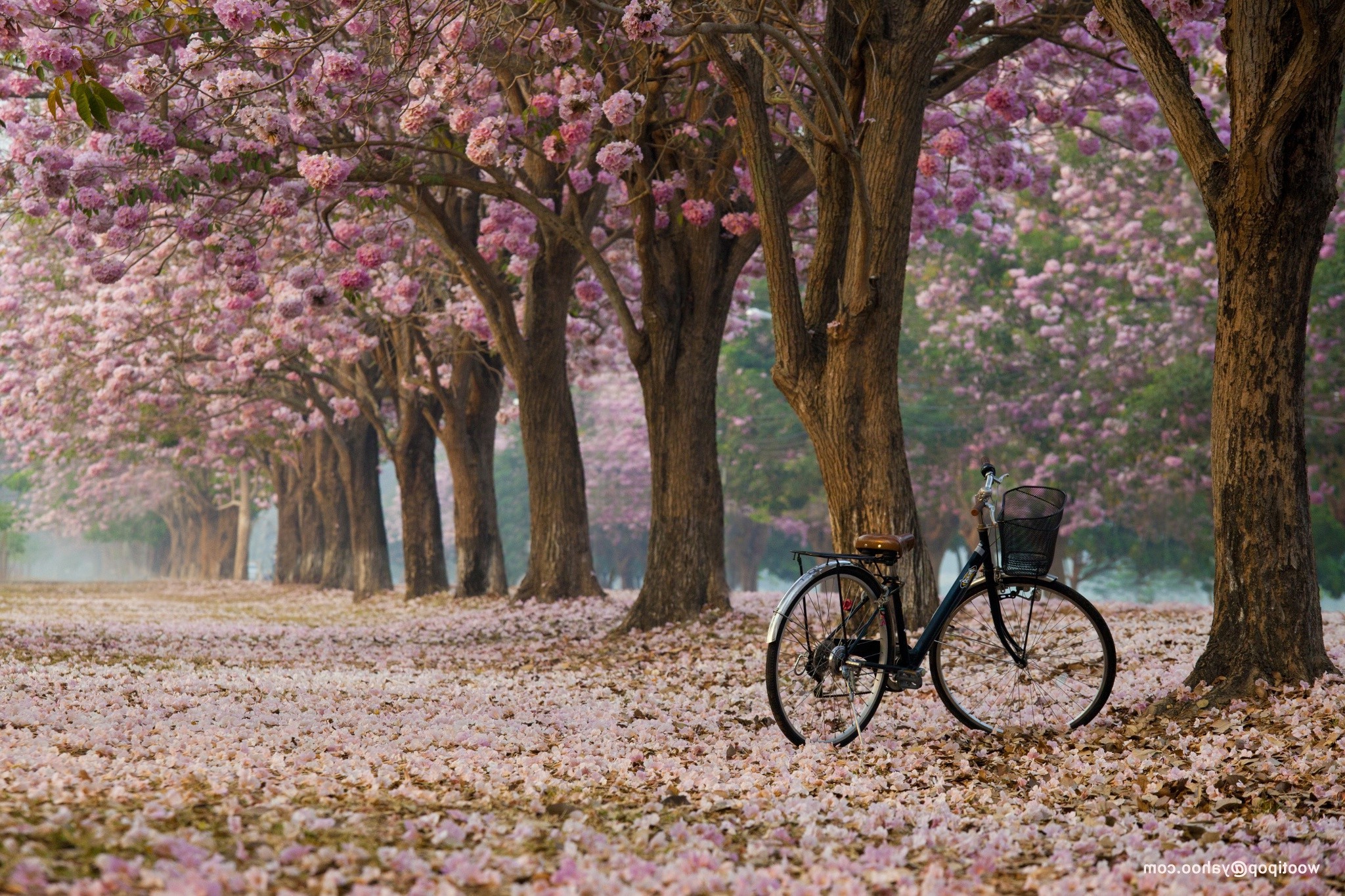 Spring Cycling Wallpapers - Wallpaper Cave