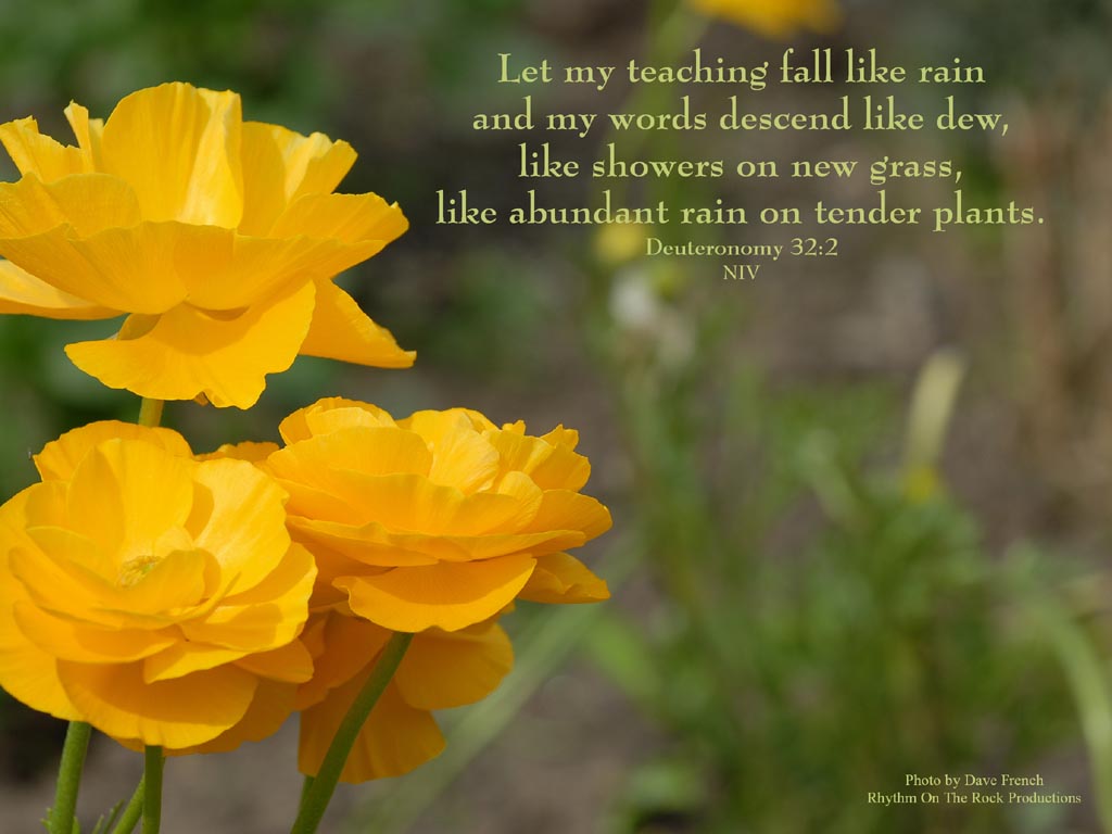 Bible Spring Wallpapers - Wallpaper Cave