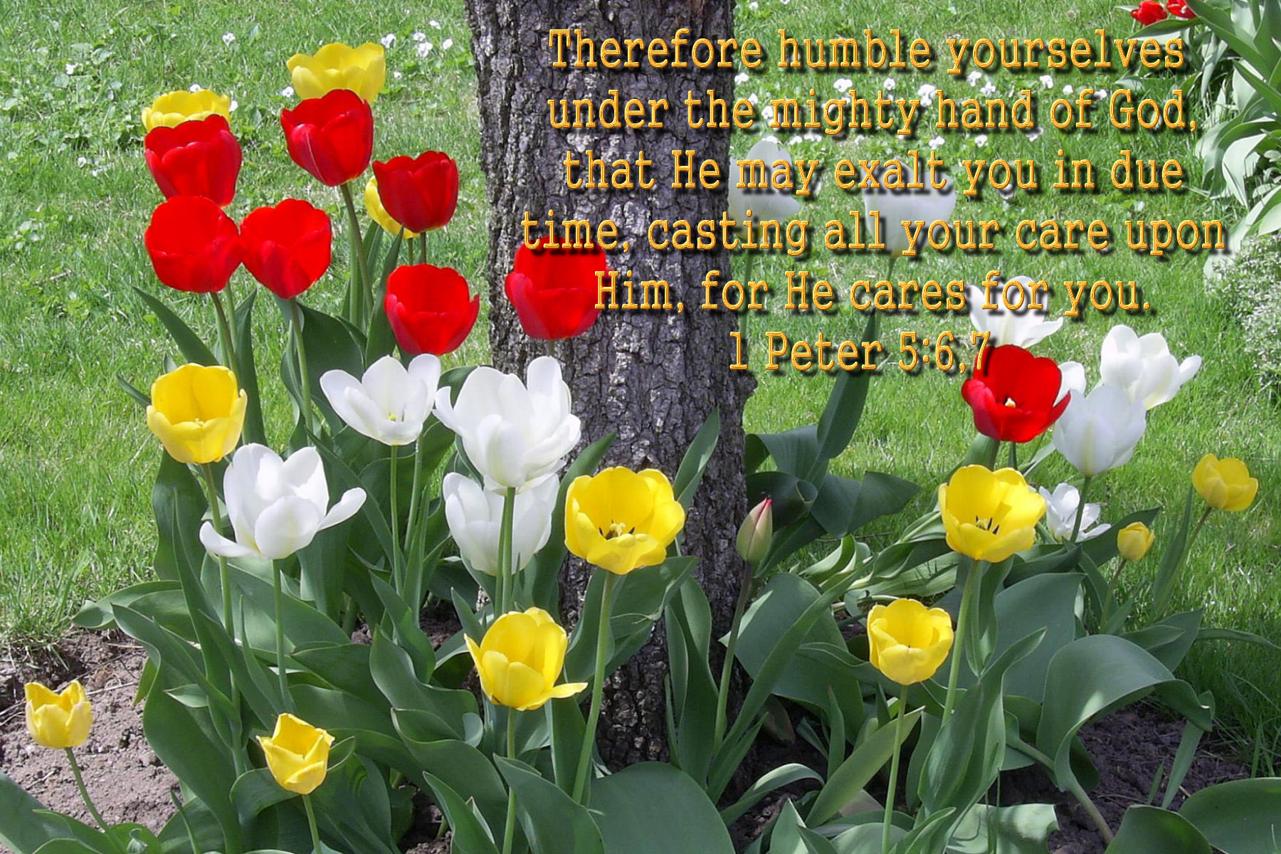 Bible Spring Wallpapers - Wallpaper Cave