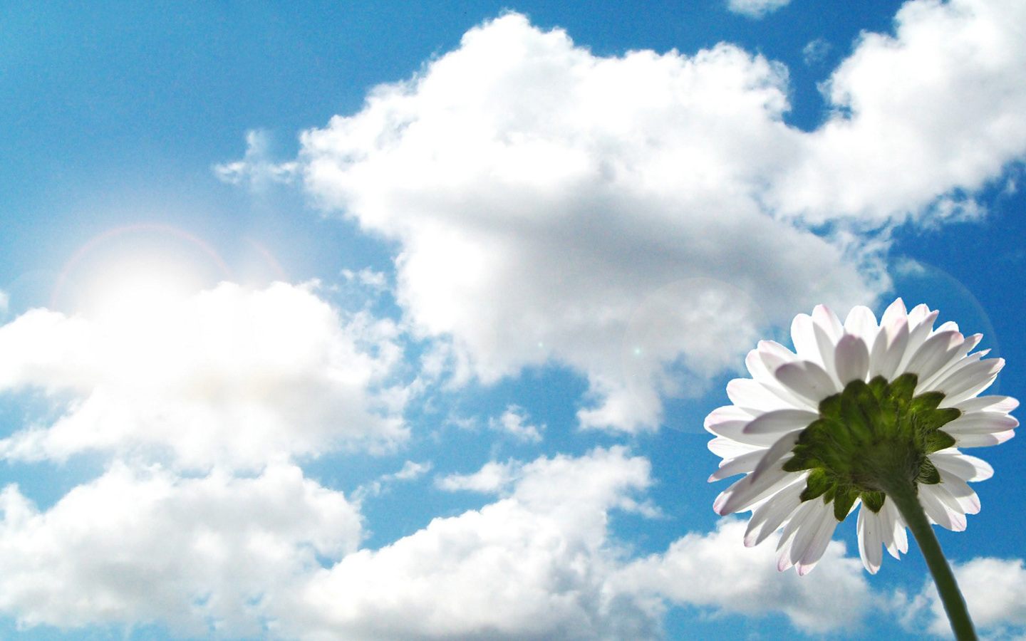 Spring Cloud Wallpapers - Wallpaper Cave