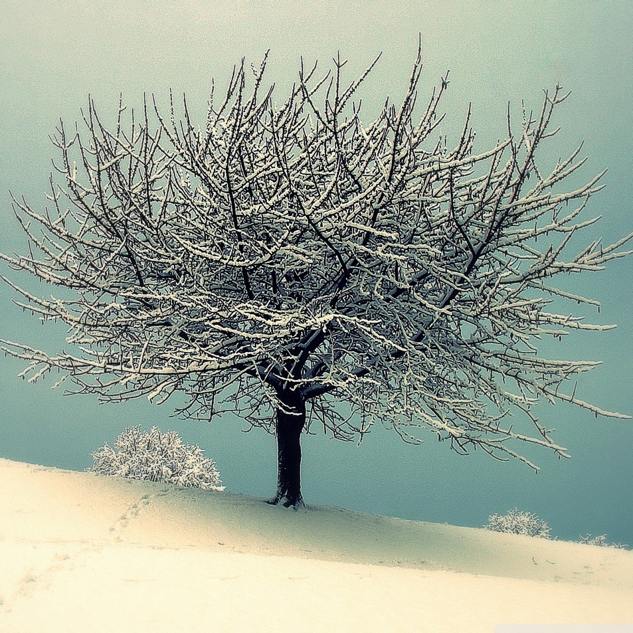 Nature Vintage Winter Wallpapers - Wallpaper Cave