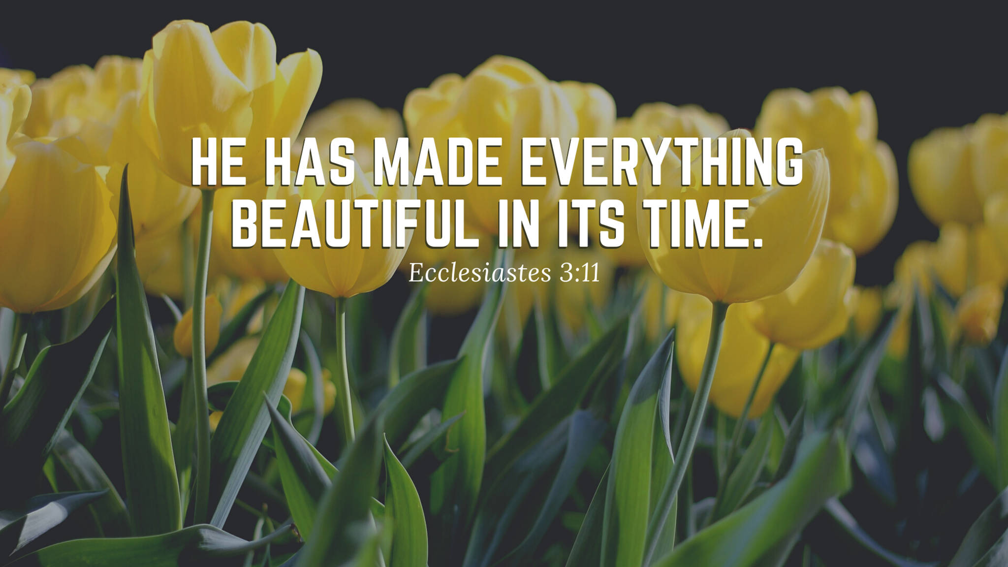 Bible Spring Wallpapers - Wallpaper Cave