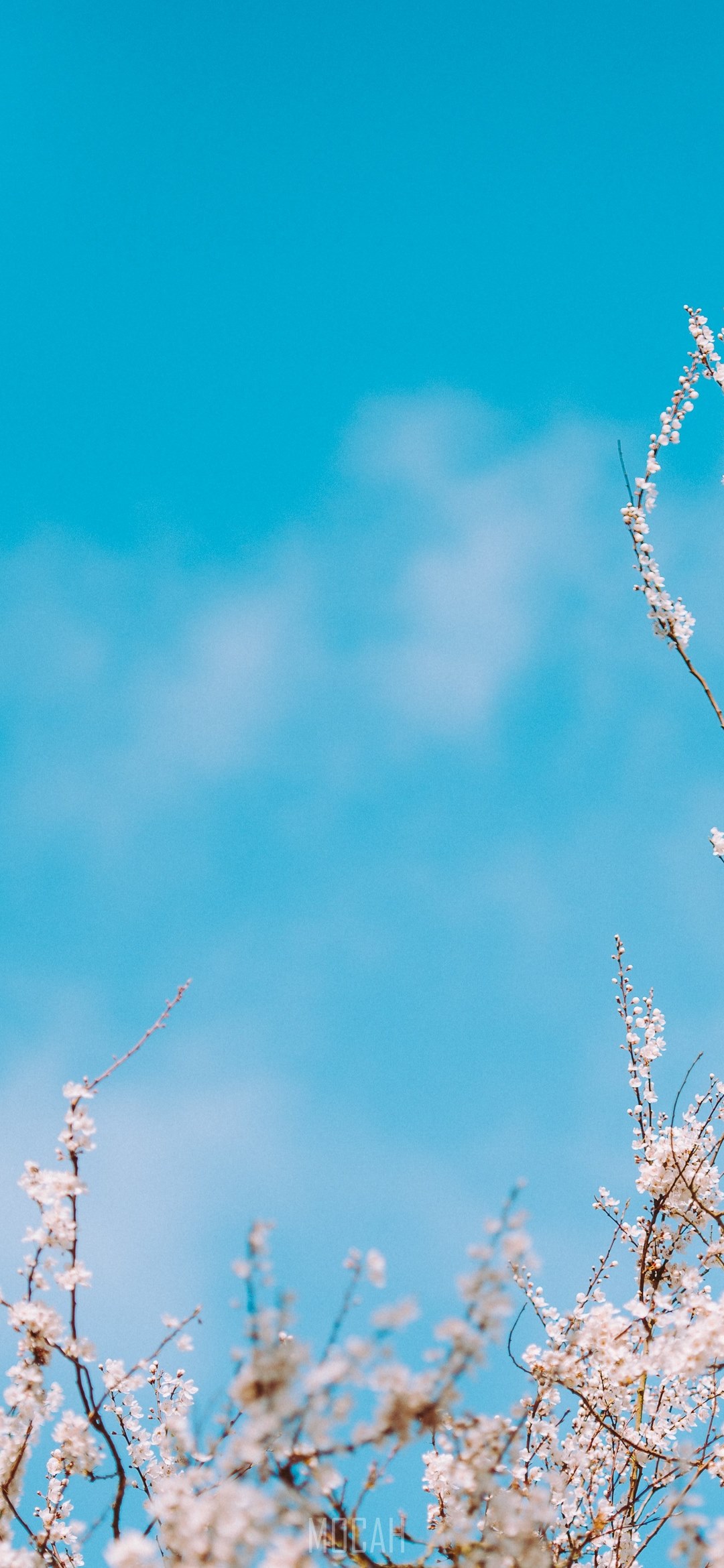 Sky Spring Wallpapers - Wallpaper Cave