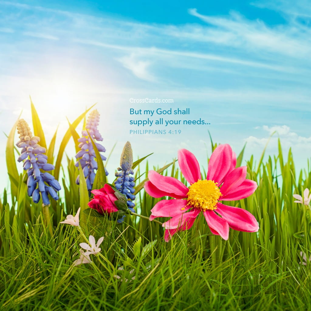 Bible Spring Wallpapers - Wallpaper Cave