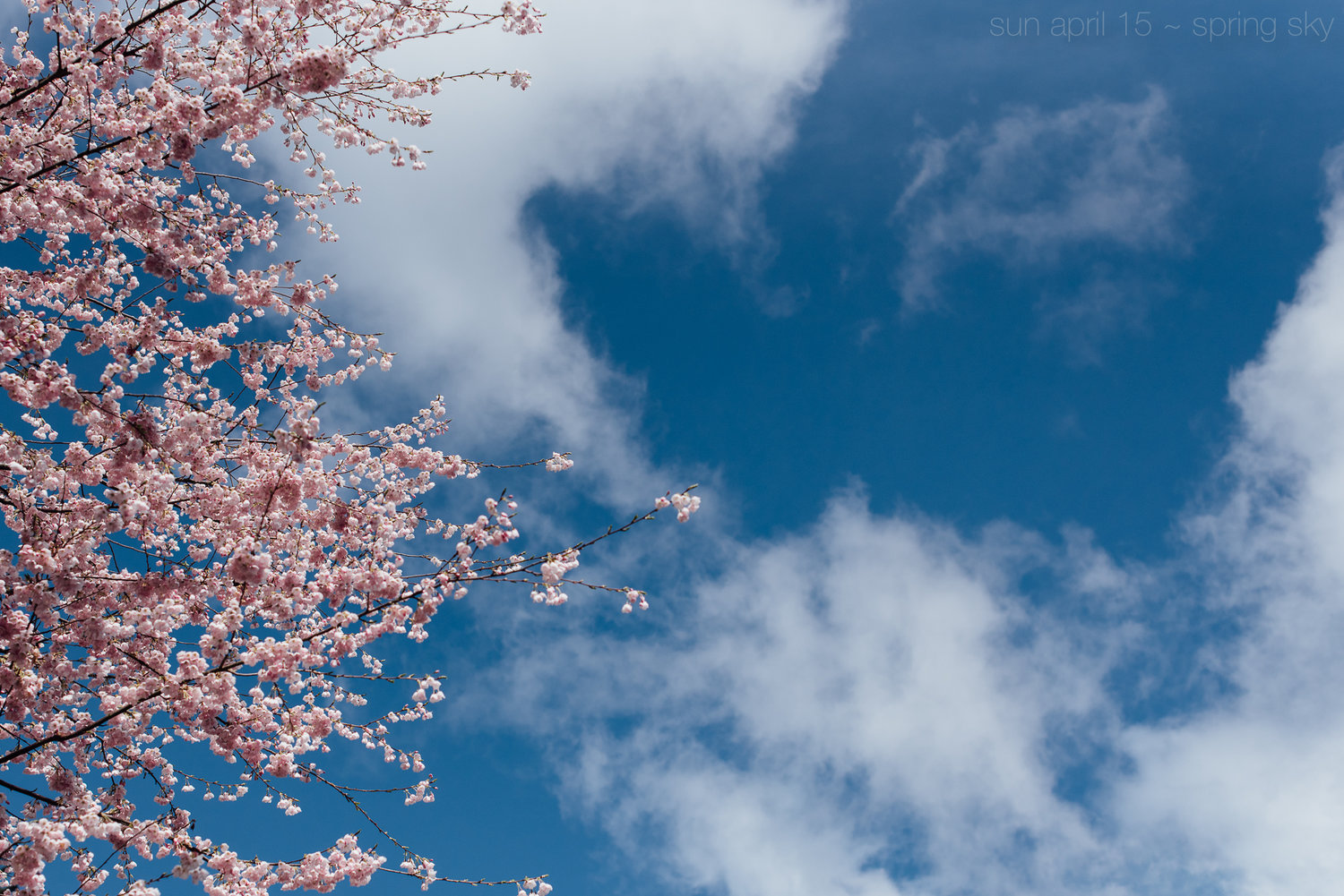 Sky Spring Wallpapers - Wallpaper Cave