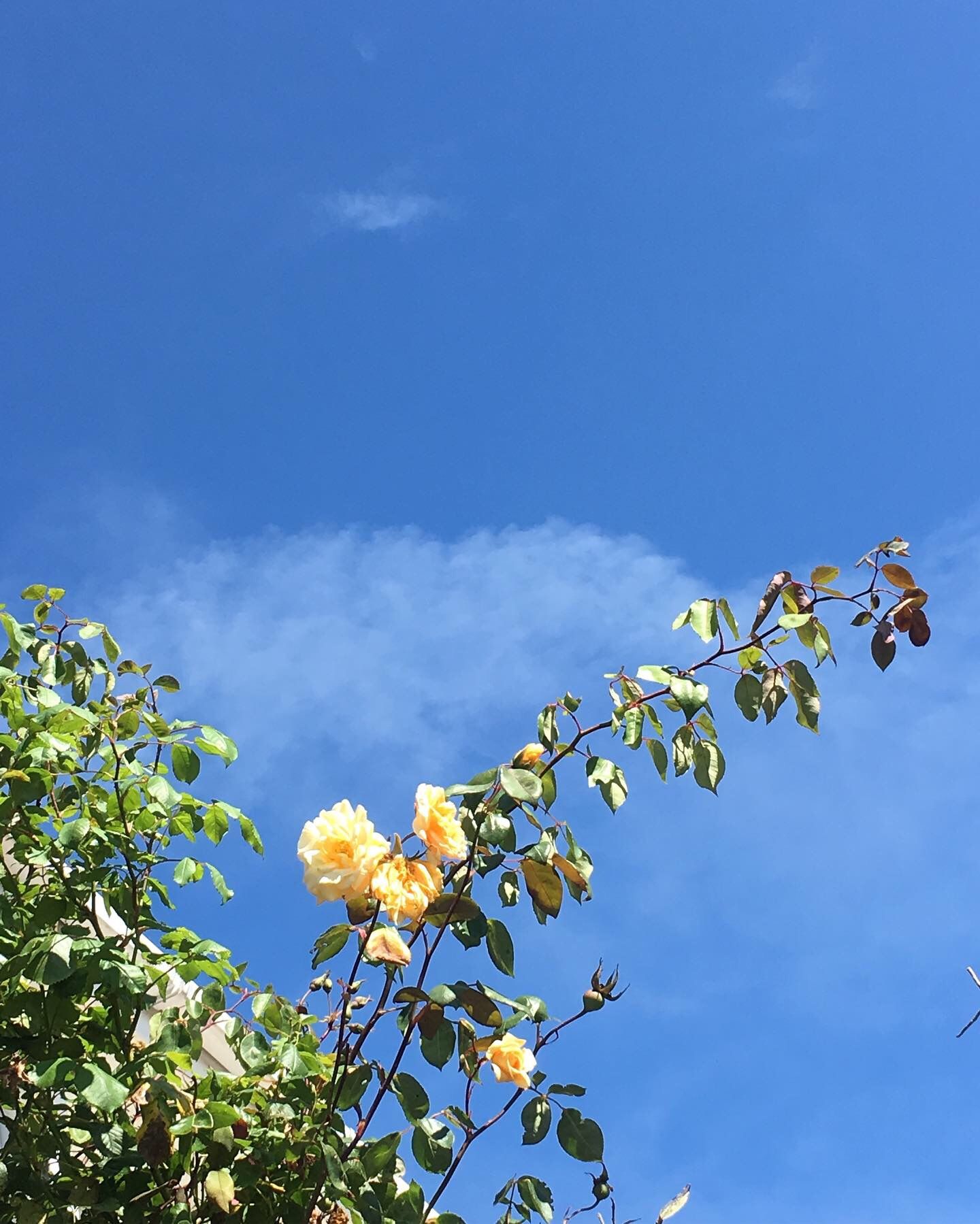 Sunny Weather Wallpapers - Wallpaper Cave