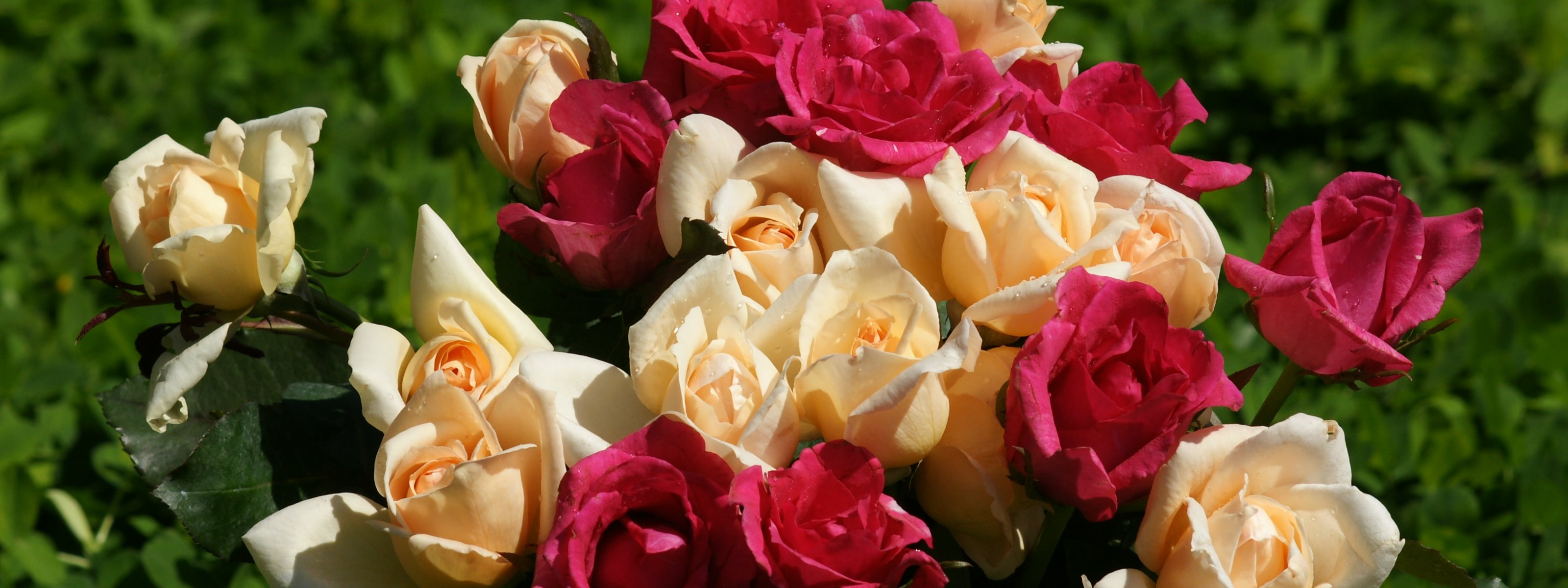 Pink Dual Monitor Wallpapers - Wallpaper Cave