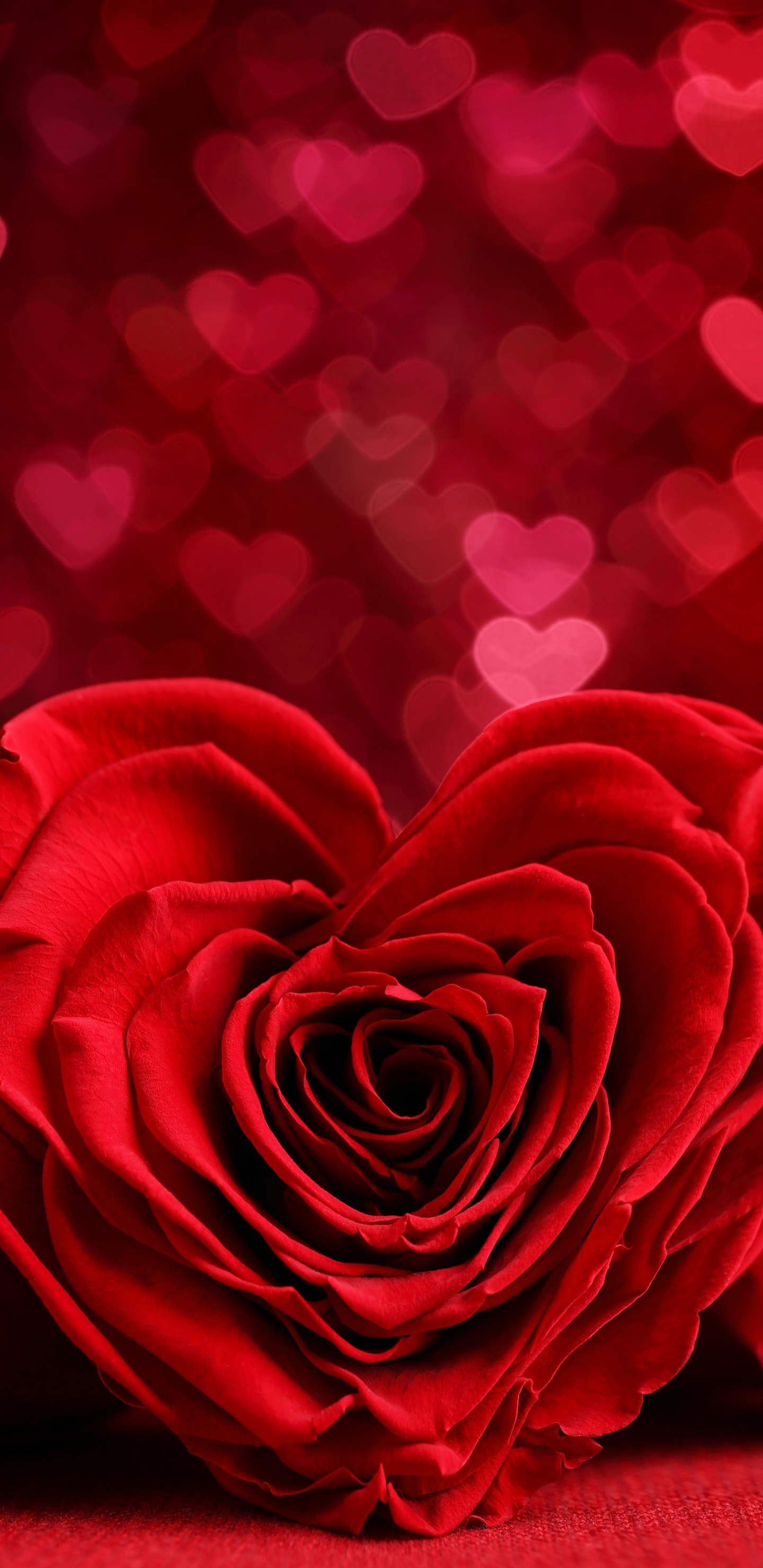 Rose Heart Valentines Wallpapers - Wallpaper Cave