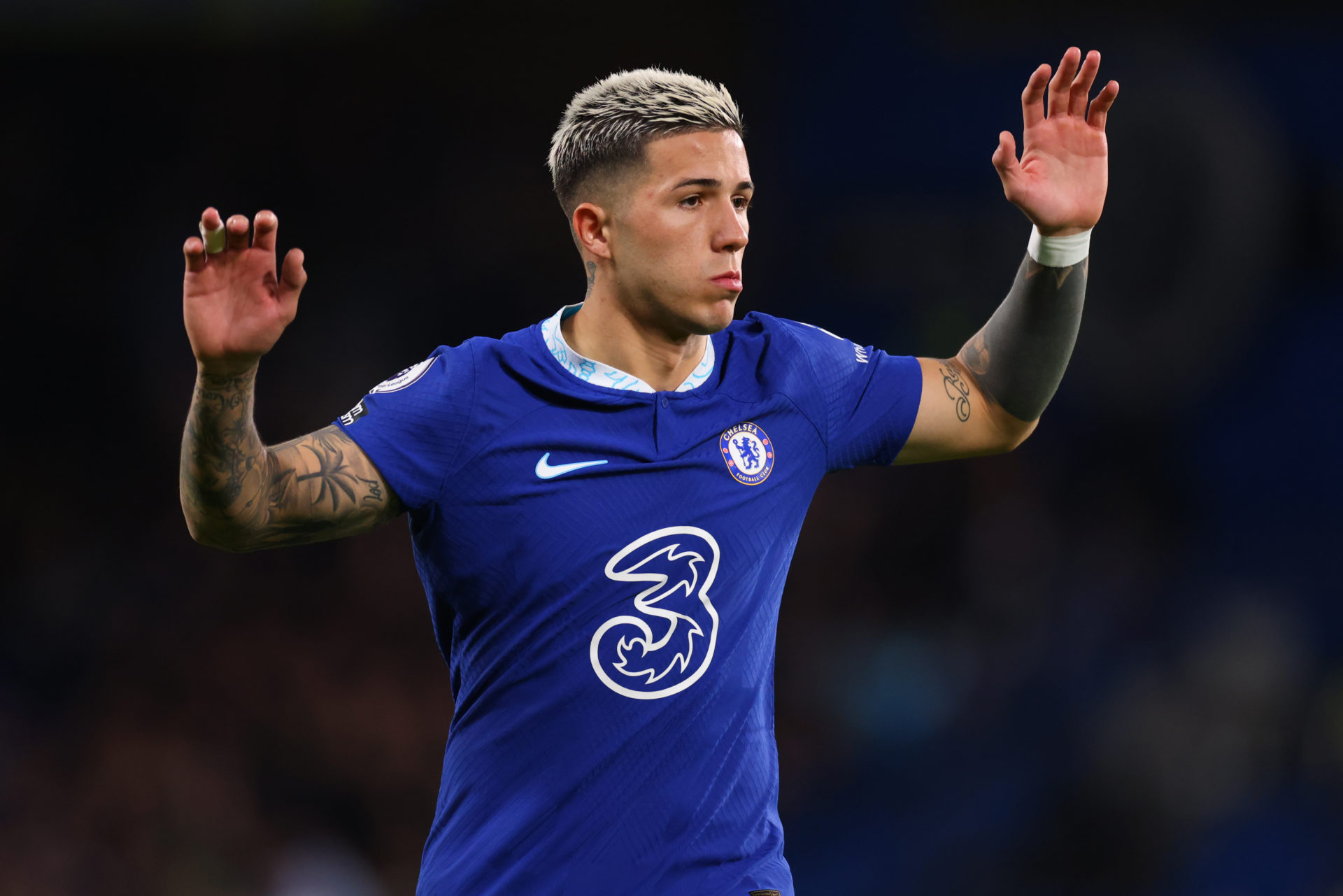 Chelsea Enzo Wallpapers - Wallpaper Cave