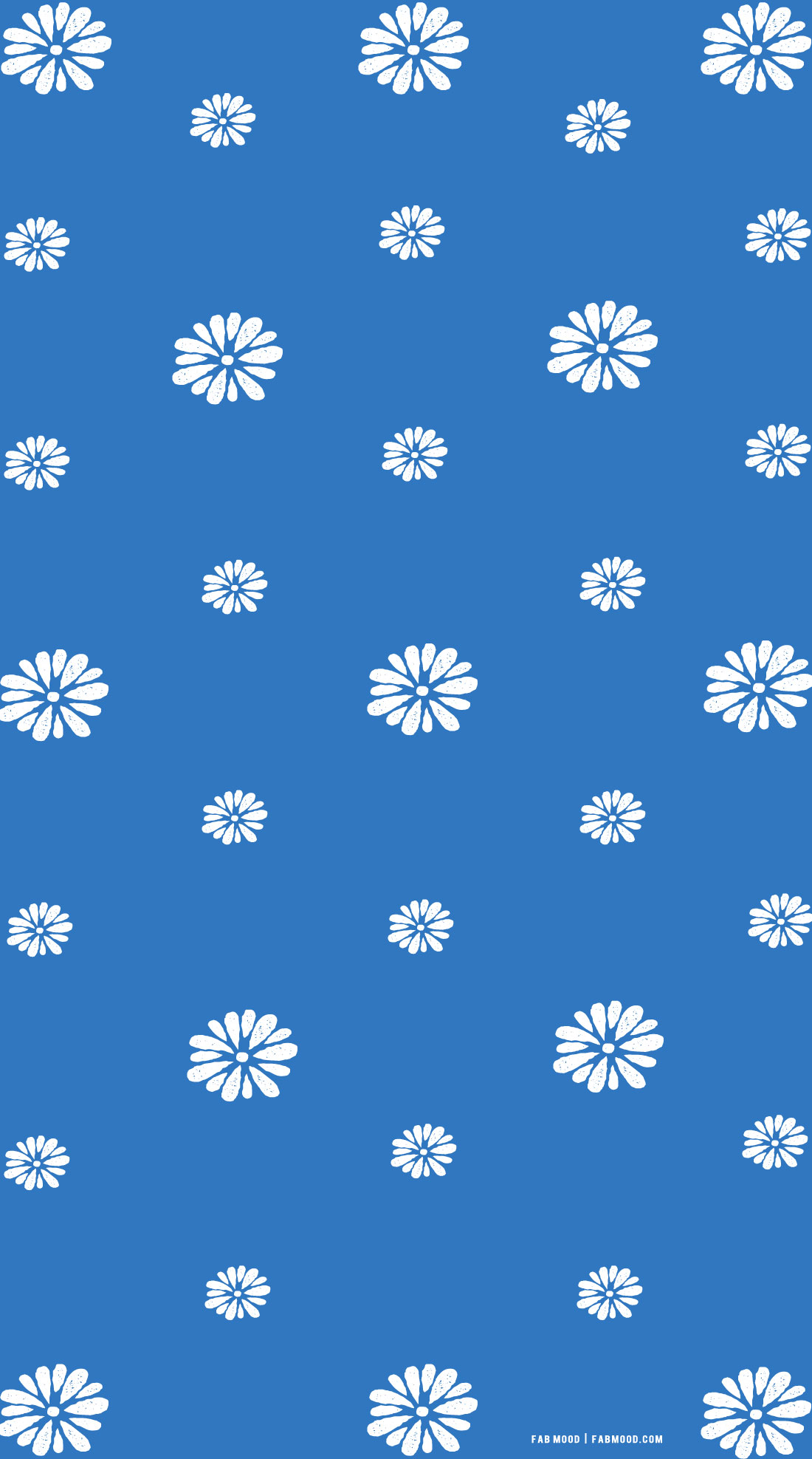 Blue Daisy Wallpapers - Wallpaper Cave