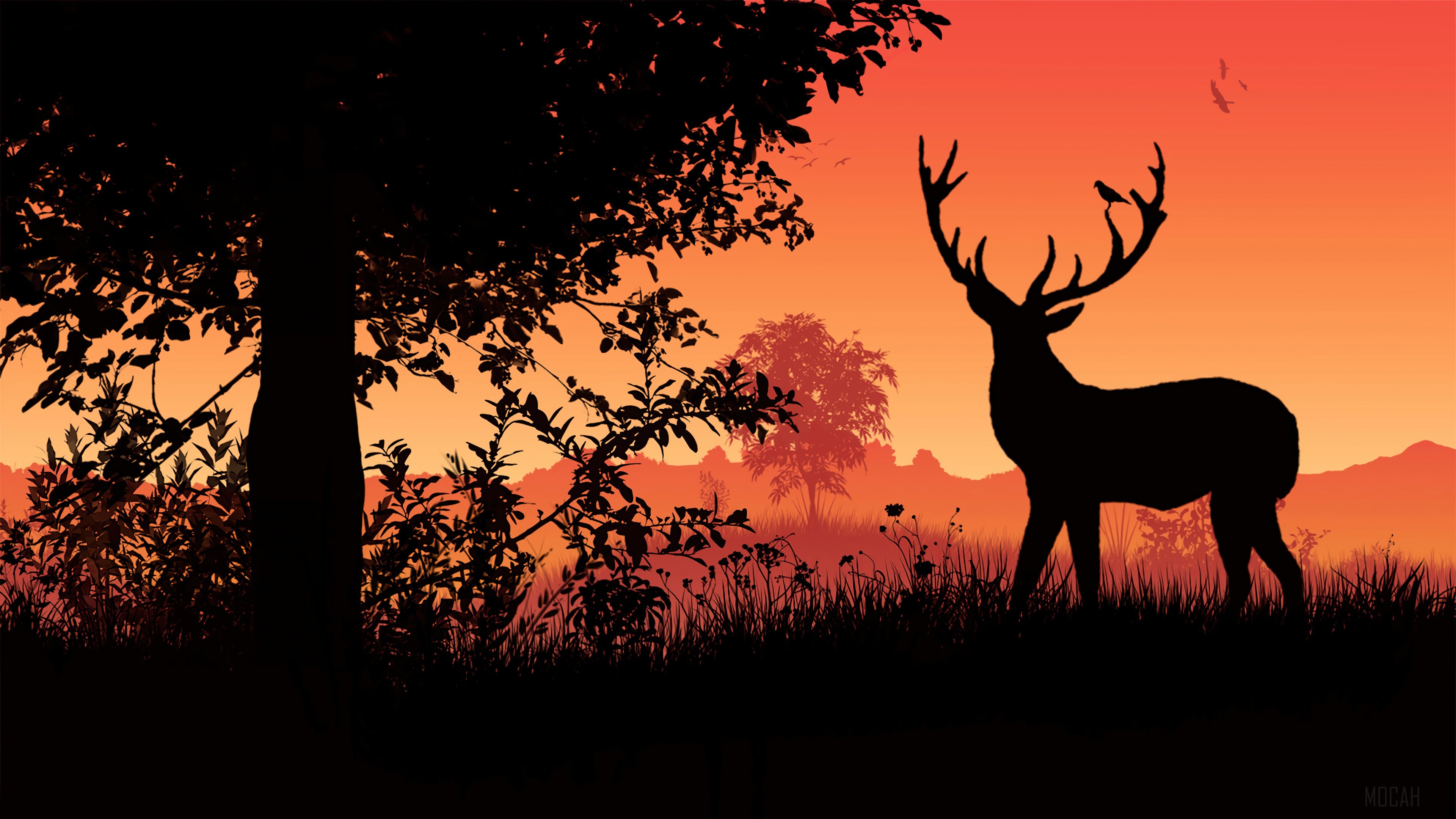 Deer 4k Wallpapers - Wallpaper Cave