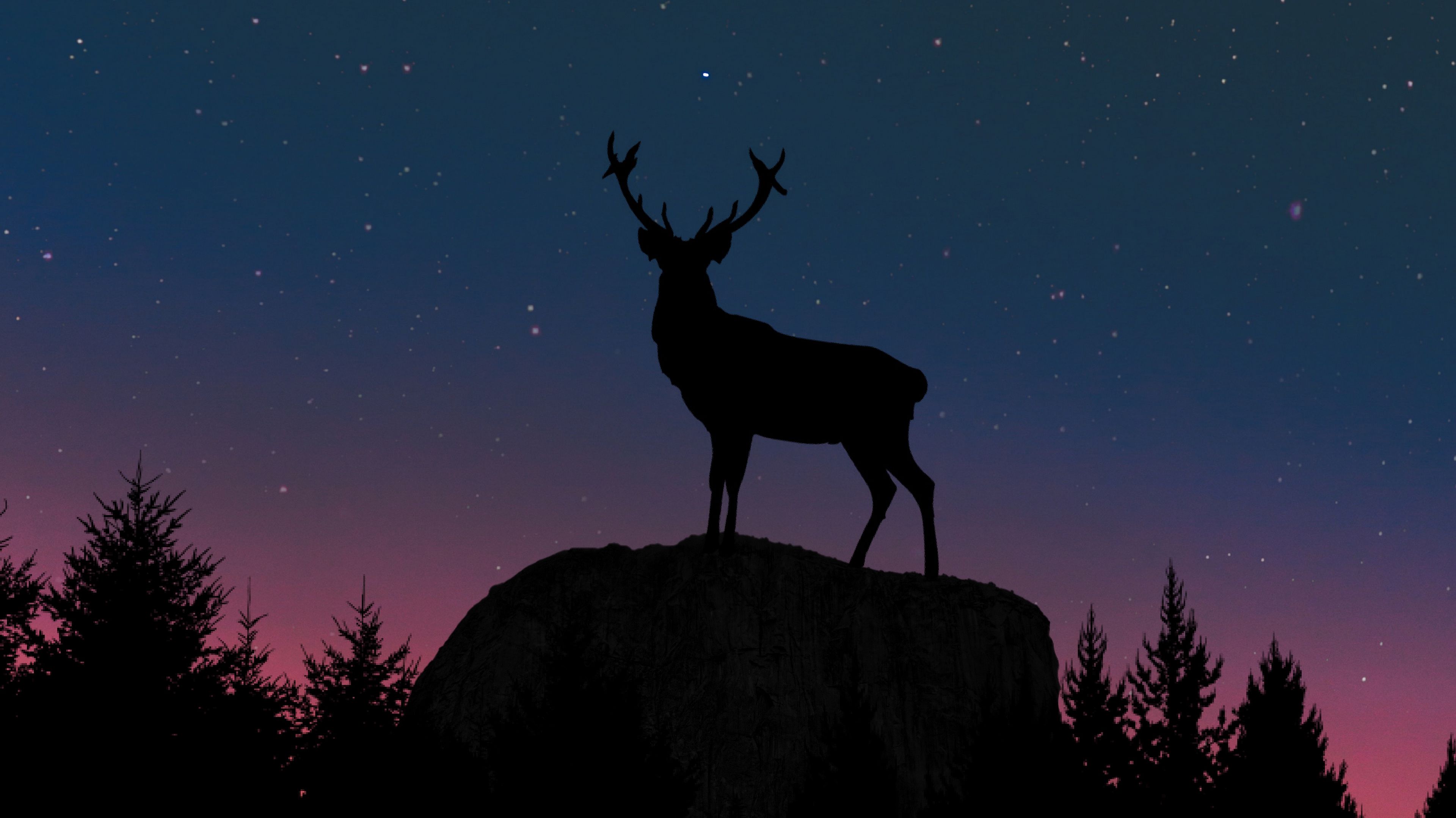 Deer 4k Wallpapers - Wallpaper Cave