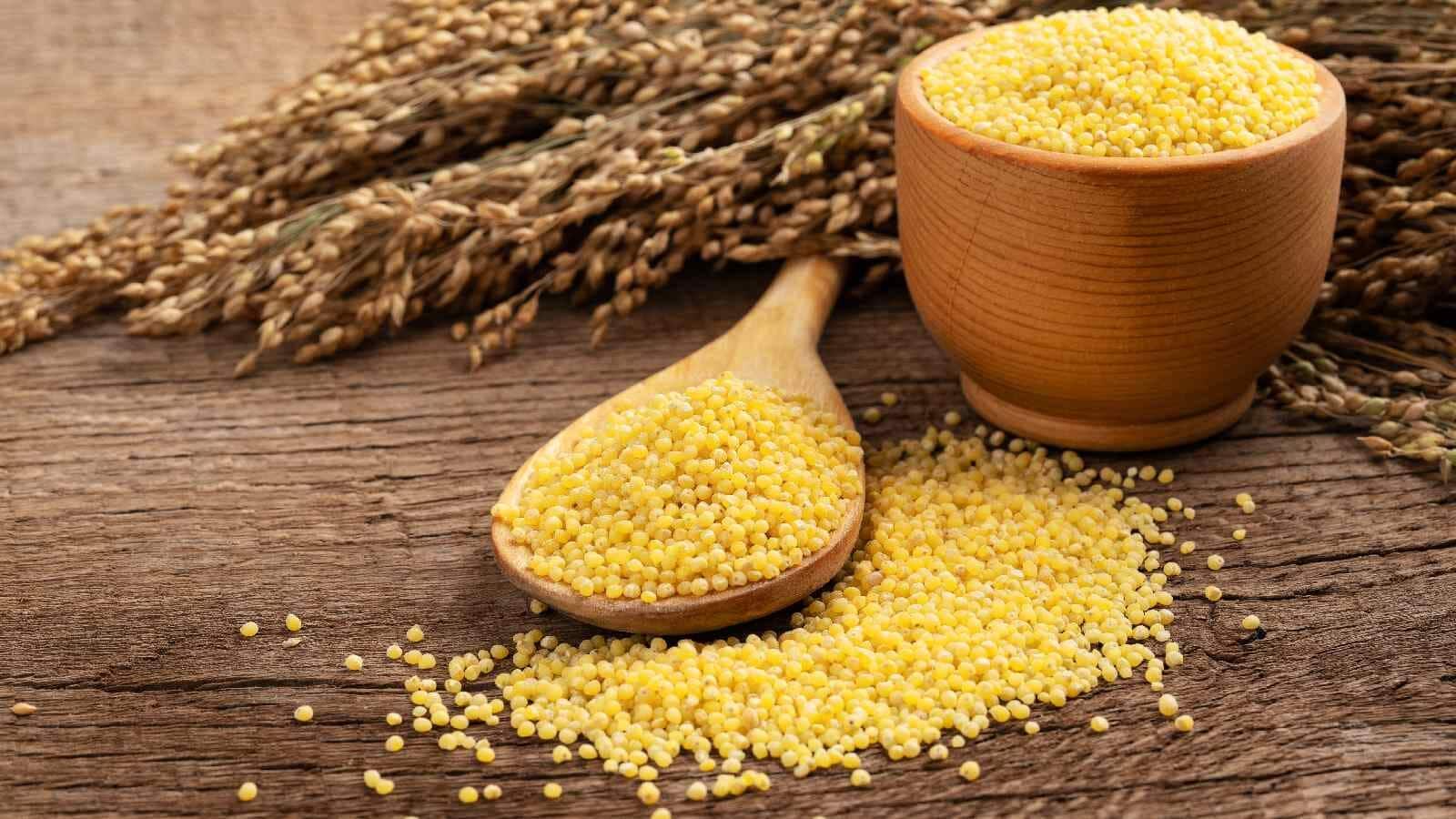 Millets Wallpapers - Wallpaper Cave