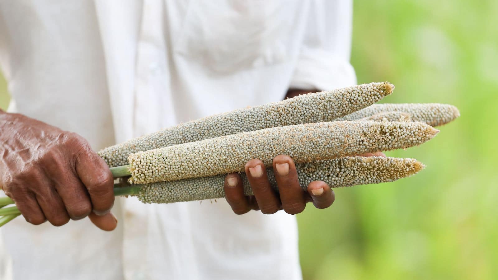 Millets Wallpapers - Wallpaper Cave