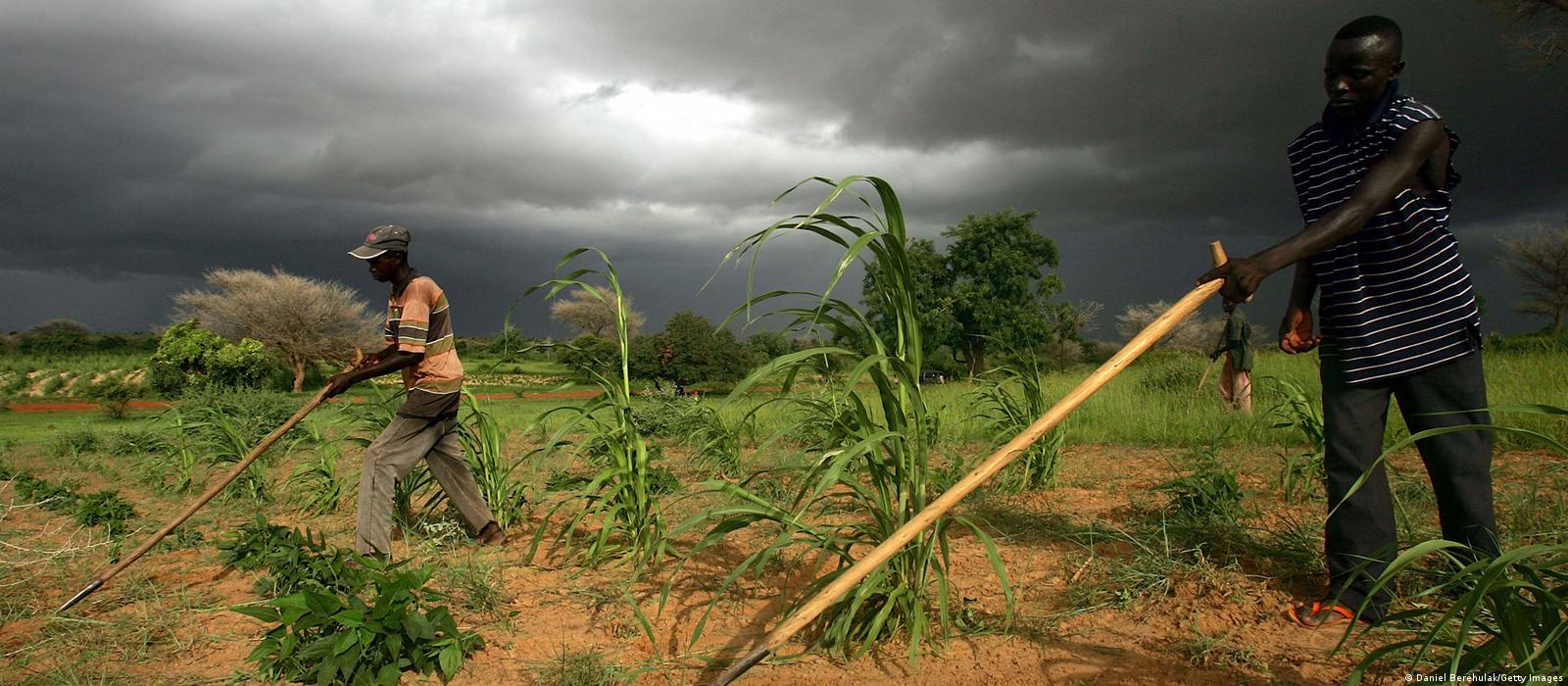 Millets Wallpapers - Wallpaper Cave