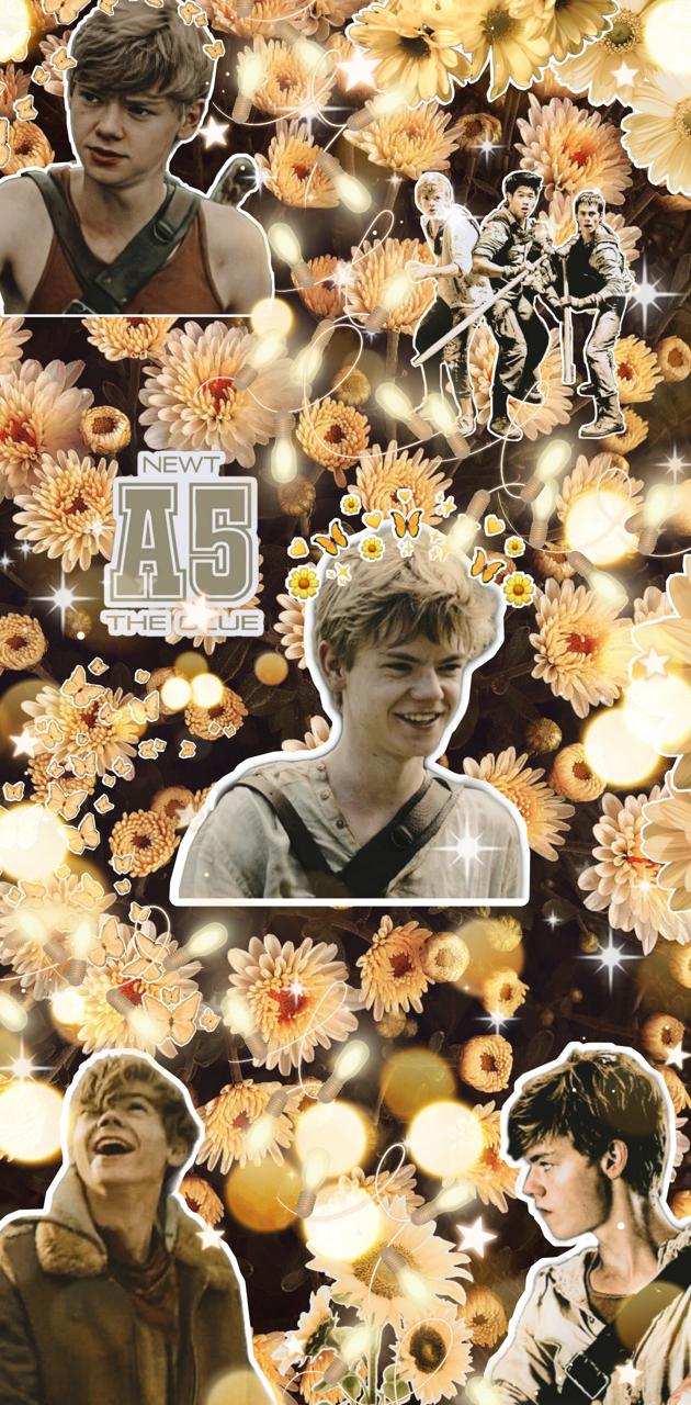 Newt The Maze Runner Wallpapers - Wallpaper Cave