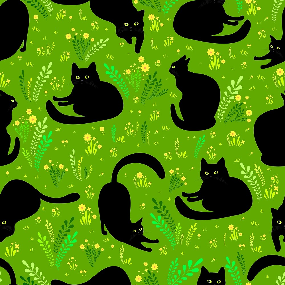 Black Cat Spring Wallpapers - Wallpaper Cave