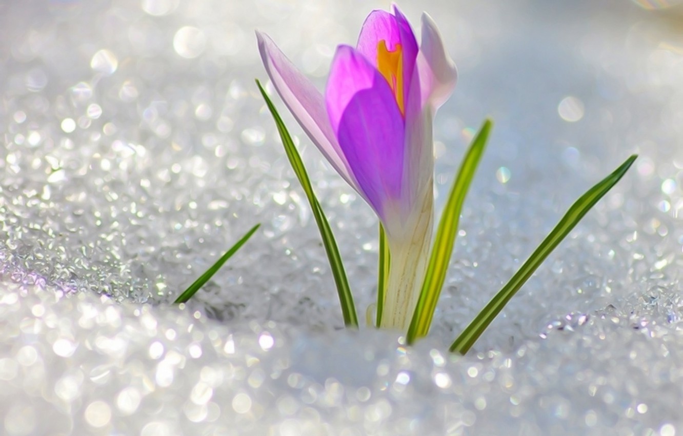 Cute Spring Scenes Wallpapers - Wallpaper Cave