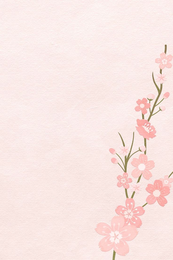 Cute Sakura Wallpapers - Wallpaper Cave