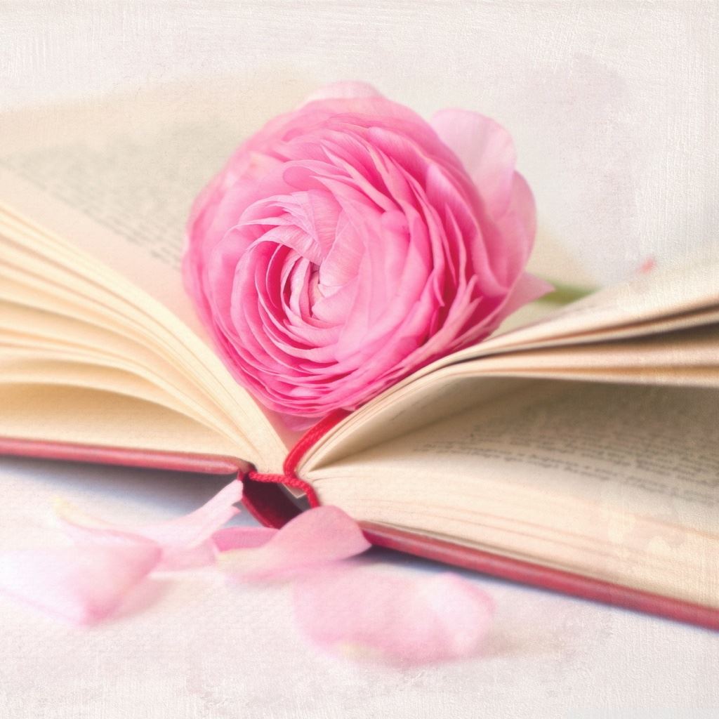 Pink Book Wallpapers - Wallpaper Cave