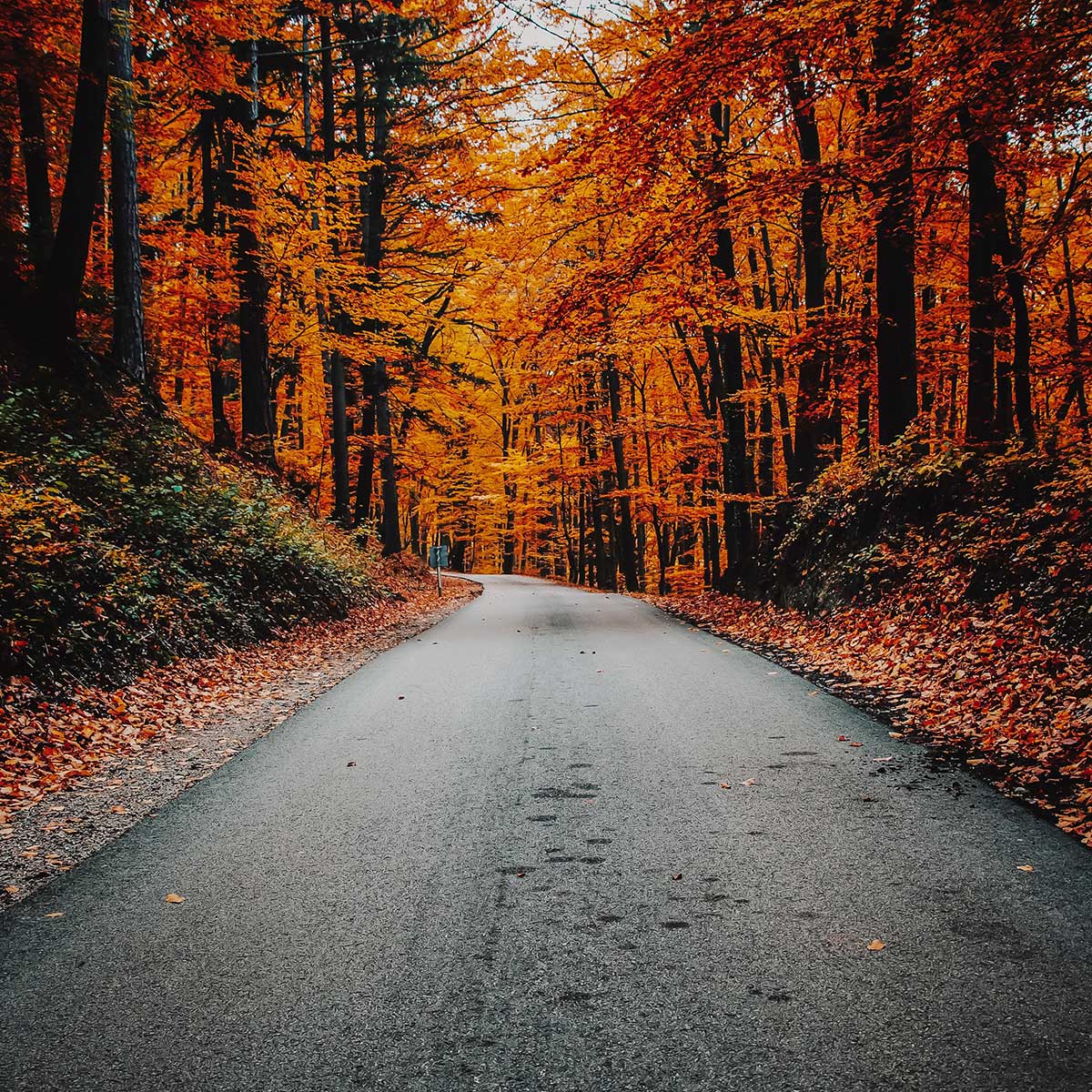 2023 Fall Wallpapers - Wallpaper Cave