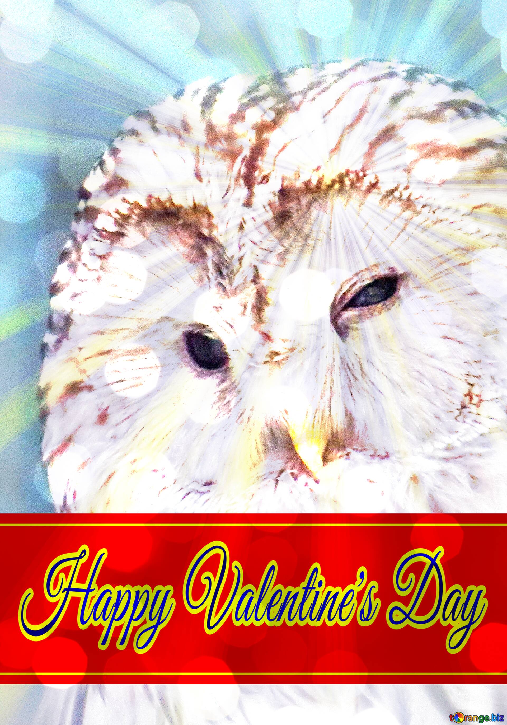 Cute Happy Valentines Day Owls
