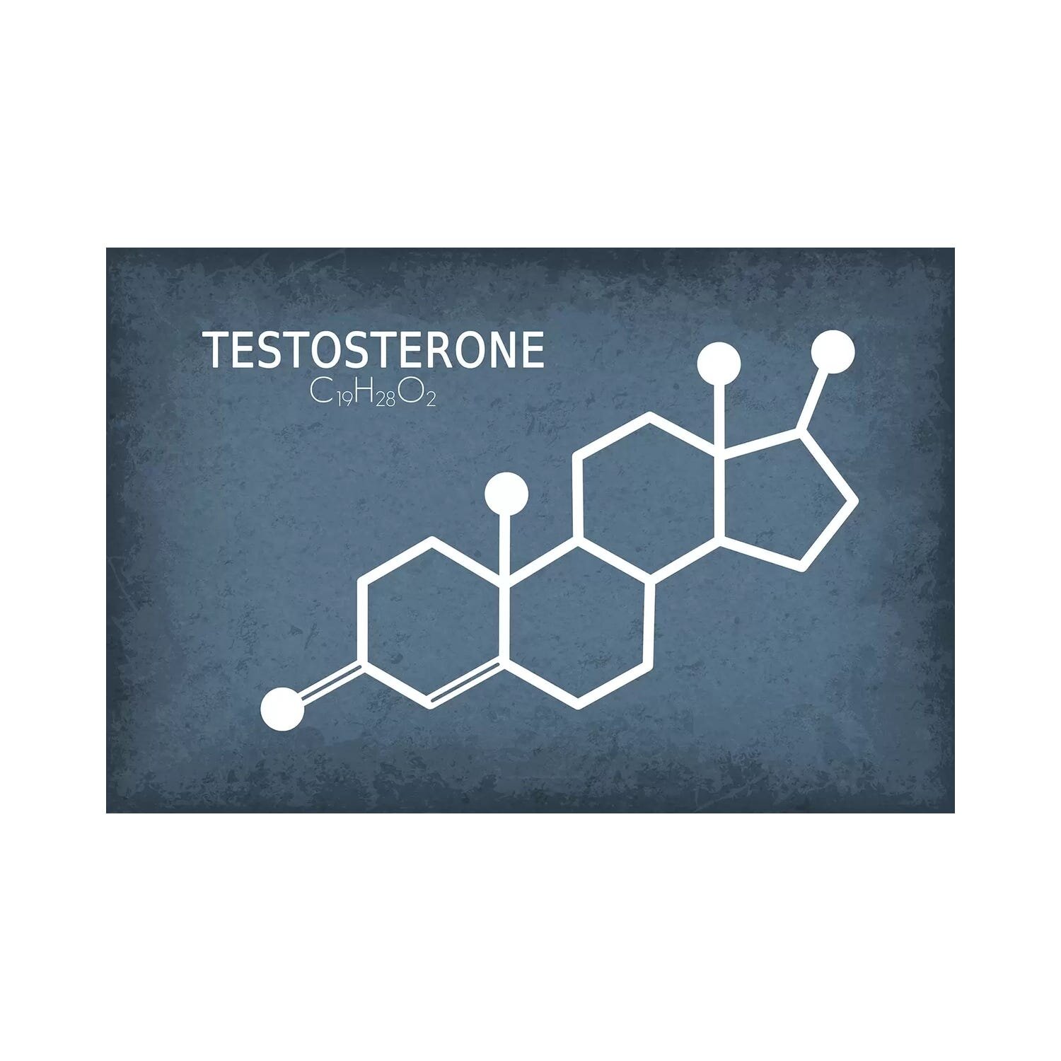 Testosterone Wallpapers - Wallpaper Cave