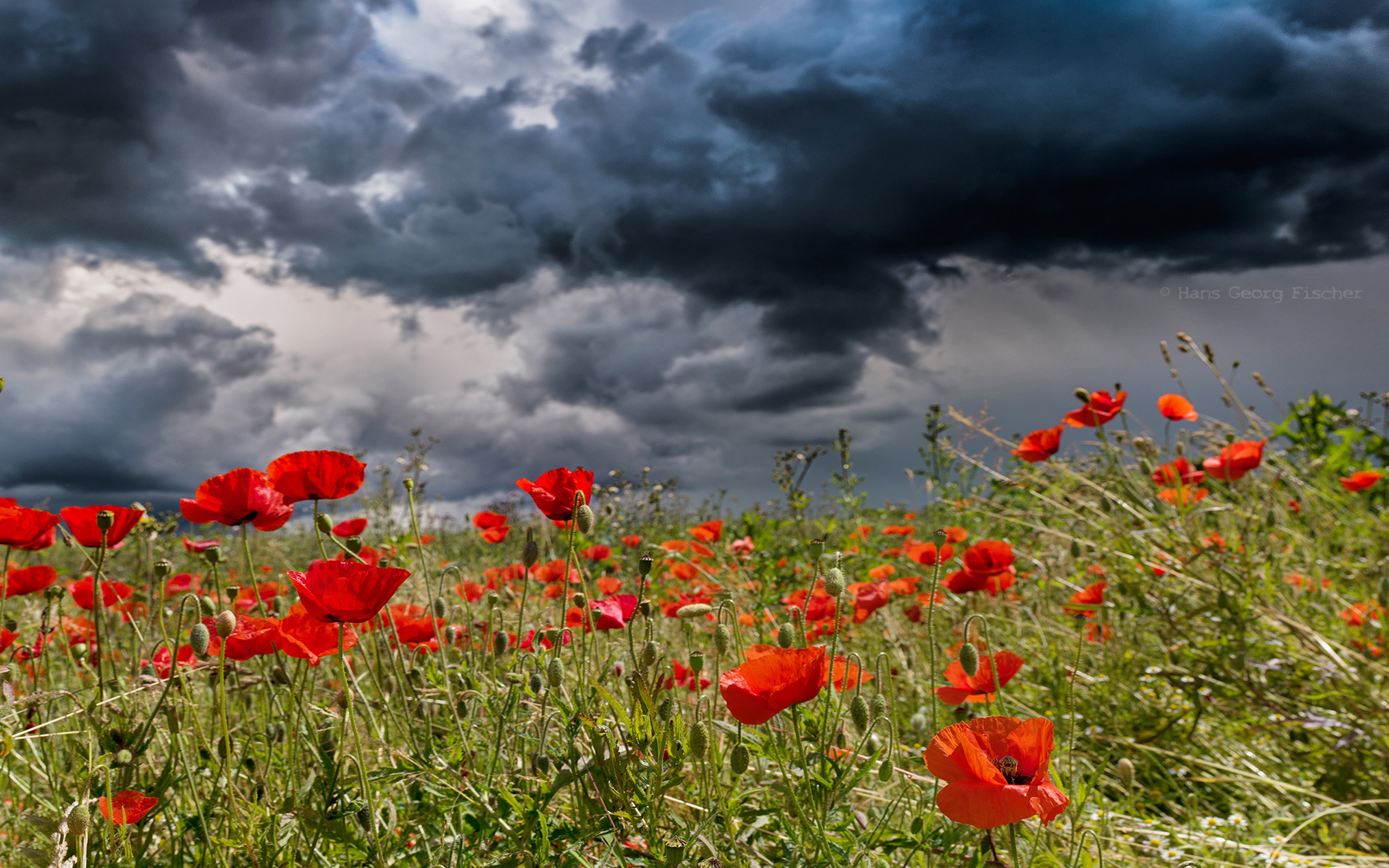 Dark Spring Sky Wallpapers - Wallpaper Cave