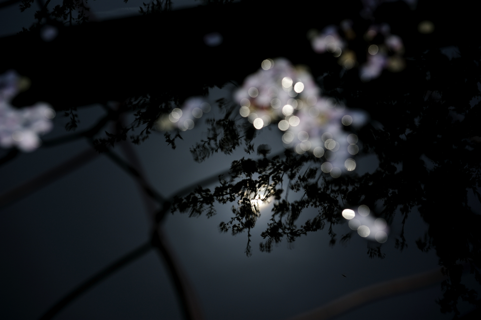 Dark Spring Sky Wallpapers - Wallpaper Cave