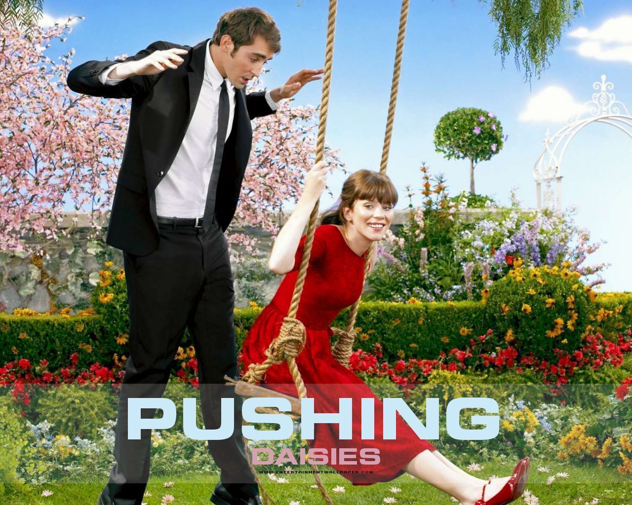 Pushing Daisies Wallpapers - Wallpaper Cave
