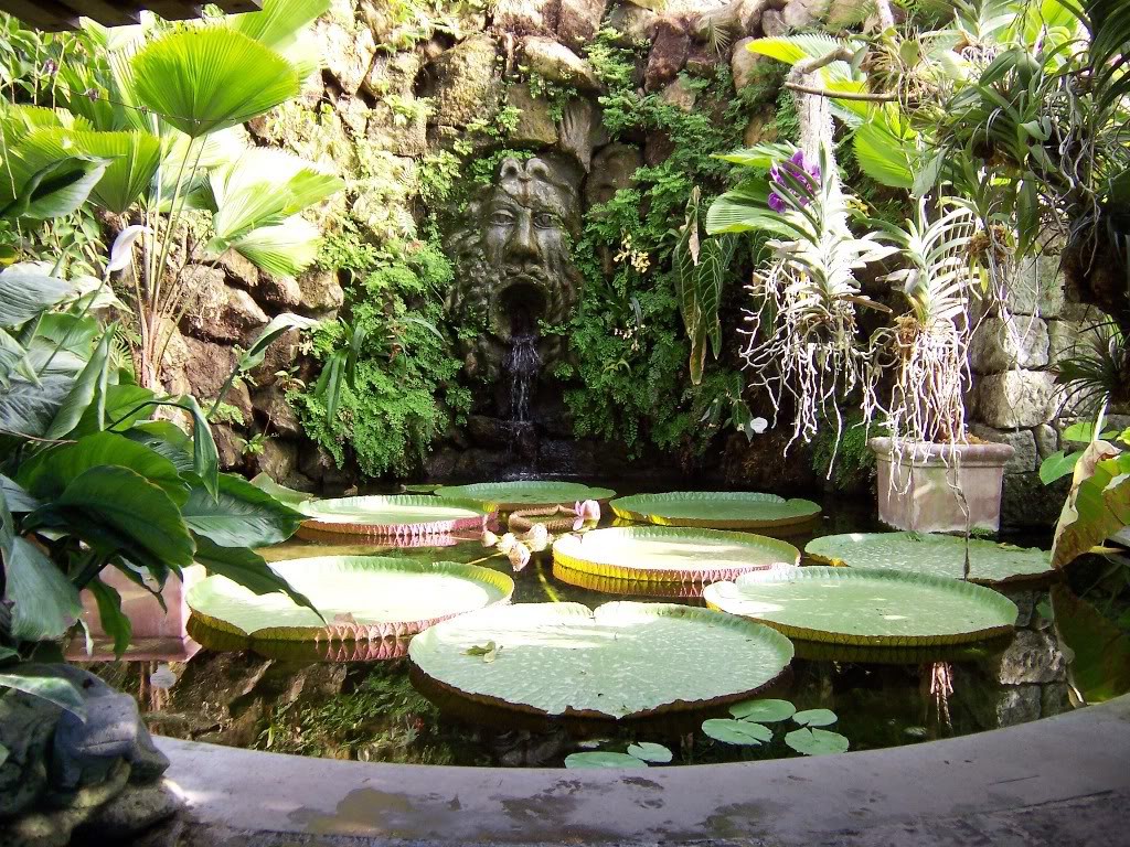 Rome Botanic Gardens Wallpapers - Wallpaper Cave