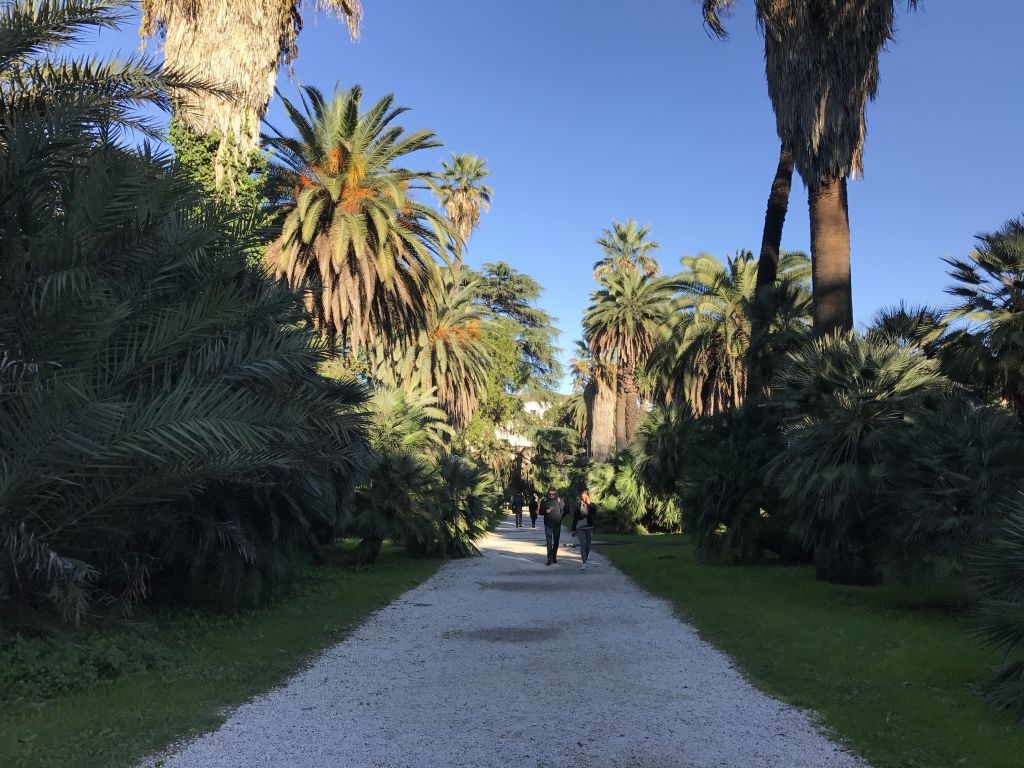 Rome Botanic Gardens Wallpapers - Wallpaper Cave