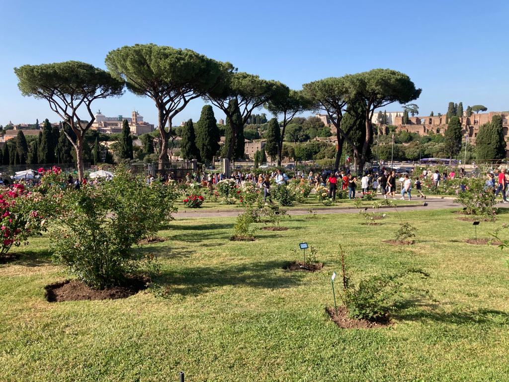 Rome Botanic Gardens Wallpapers - Wallpaper Cave