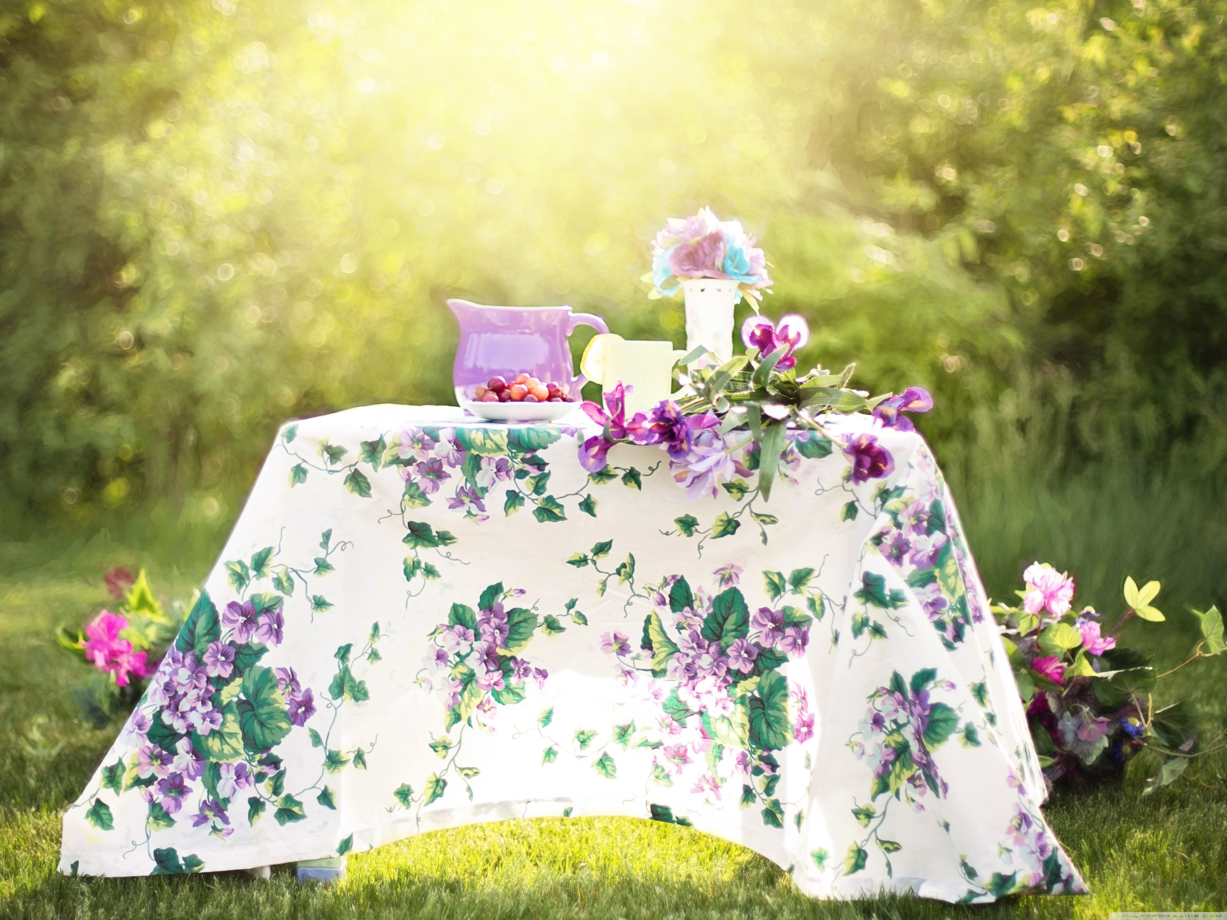 Spring Picnic Wallpapers - Wallpaper Cave