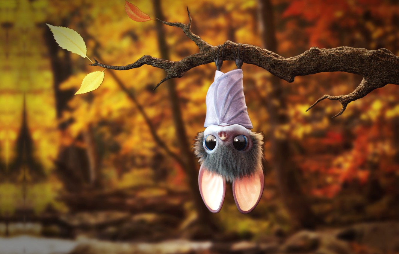 Baby Bats Wallpapers - Wallpaper Cave