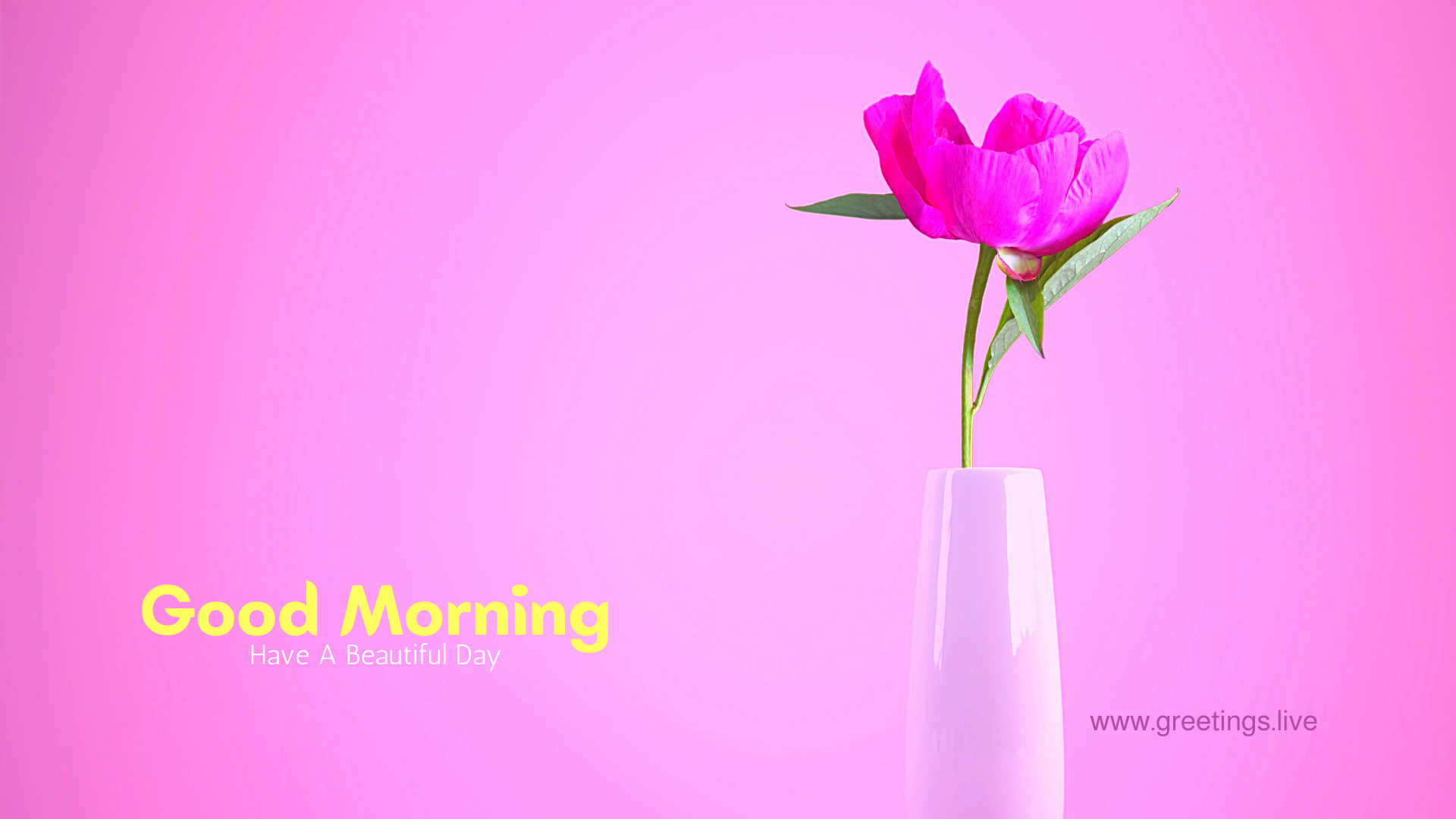Pink Morning Wallpapers - Wallpaper Cave