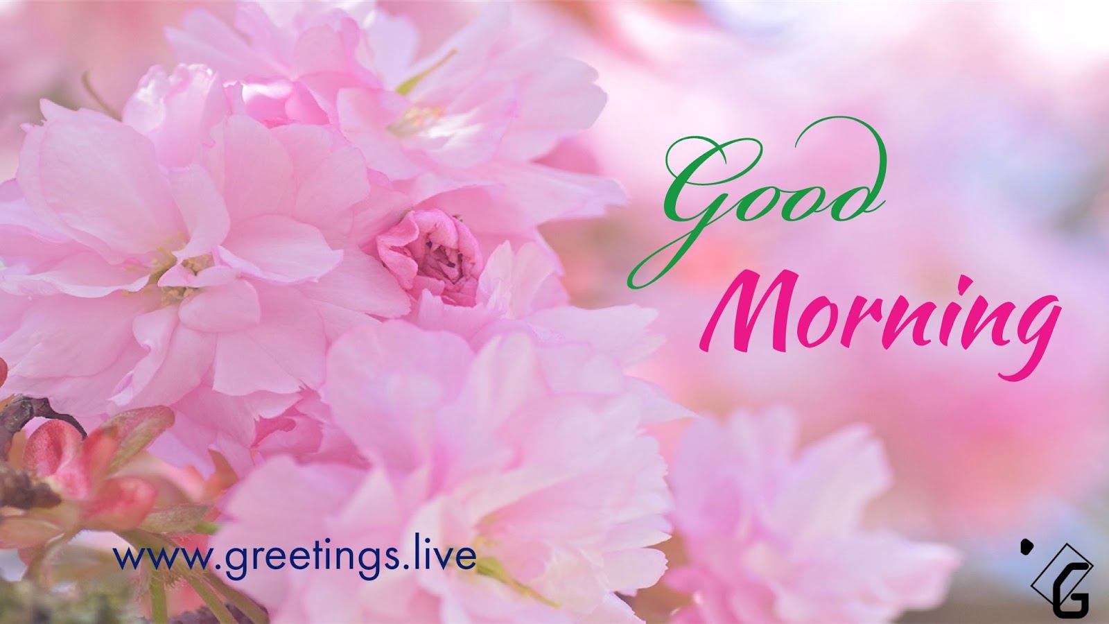 Pink Morning Wallpapers - Wallpaper Cave